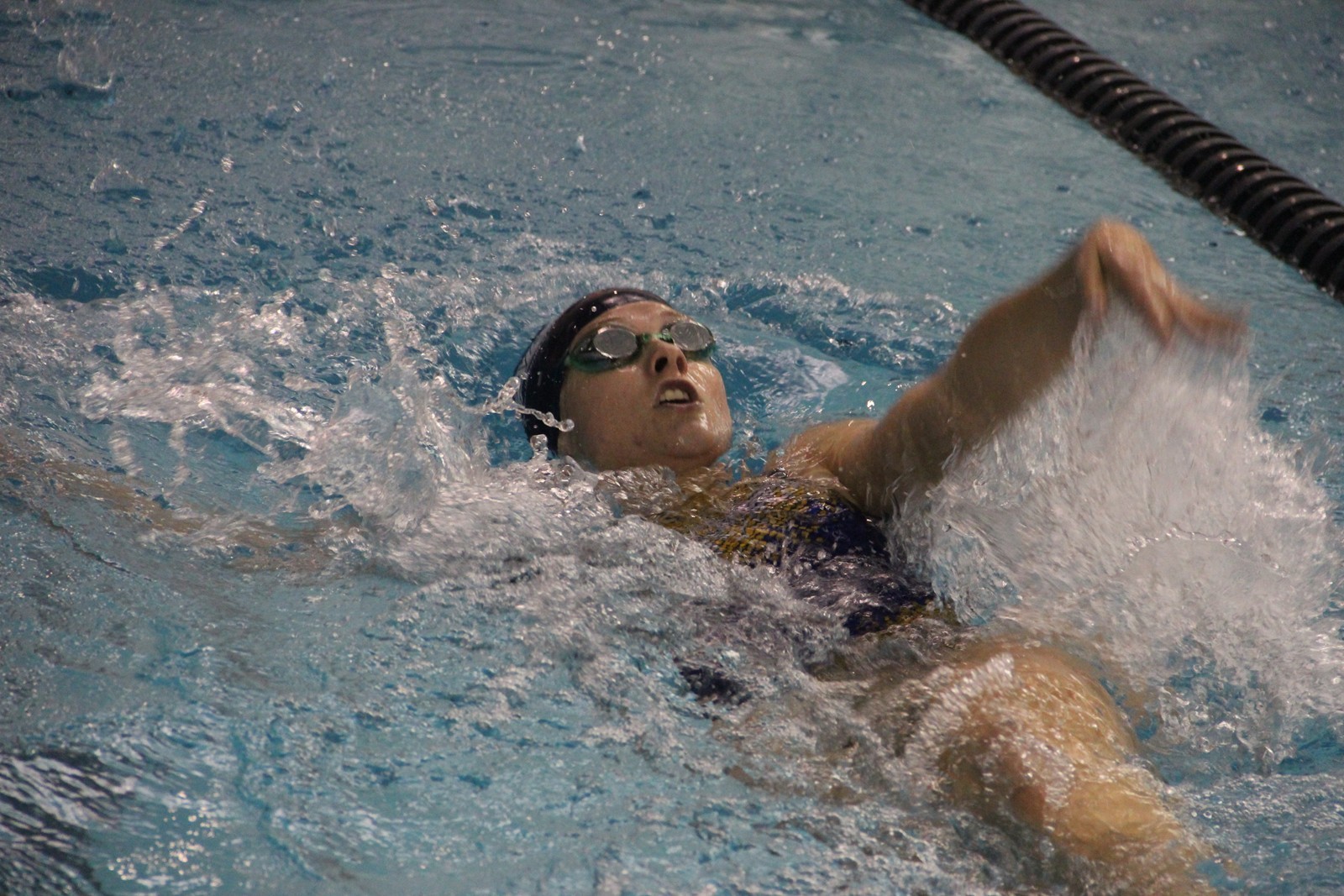 Caroline Arakelian - 2015-2016 - Women's Swimming & Diving - Queens ...