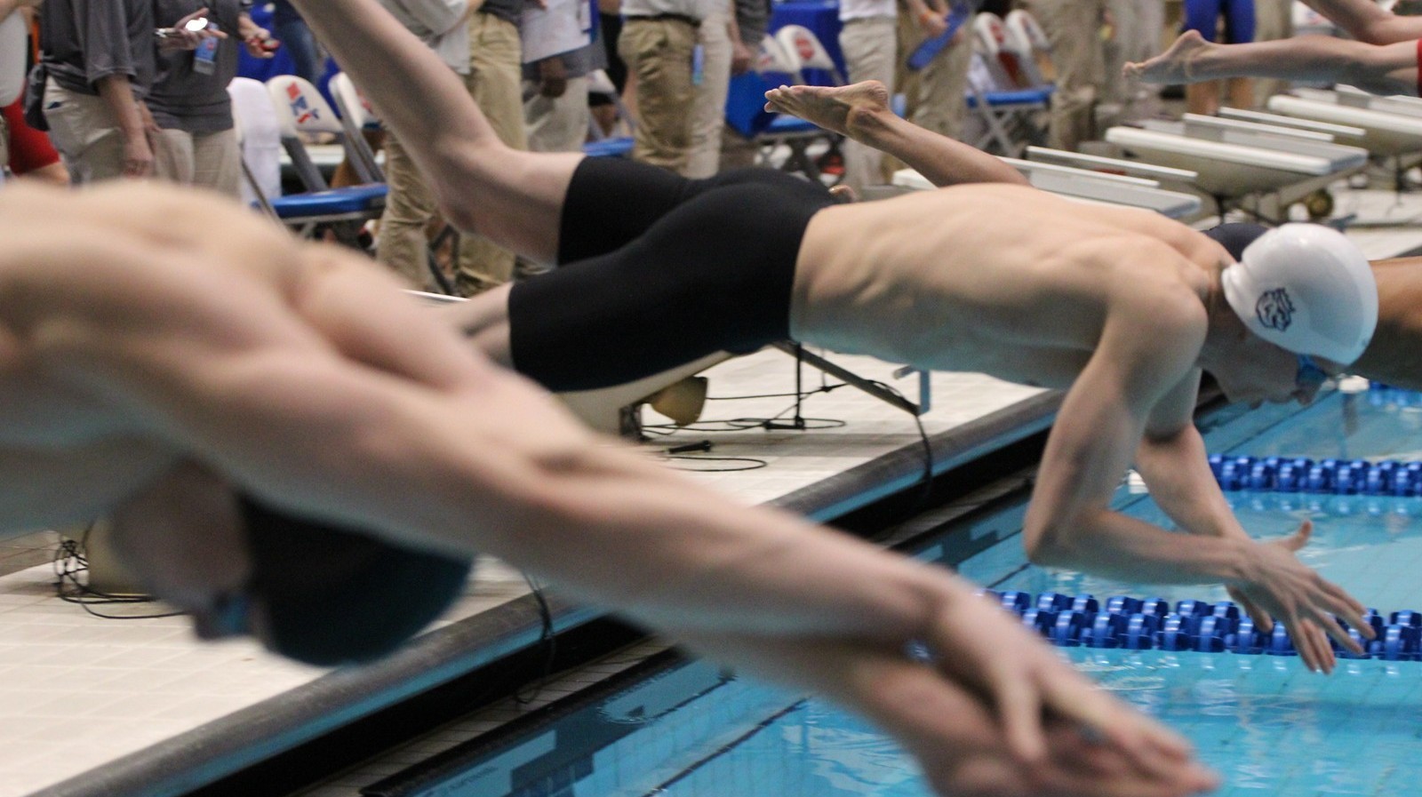 Ben Taylor - 2015-2016 - Men's Swimming & Diving - Queens University of ...