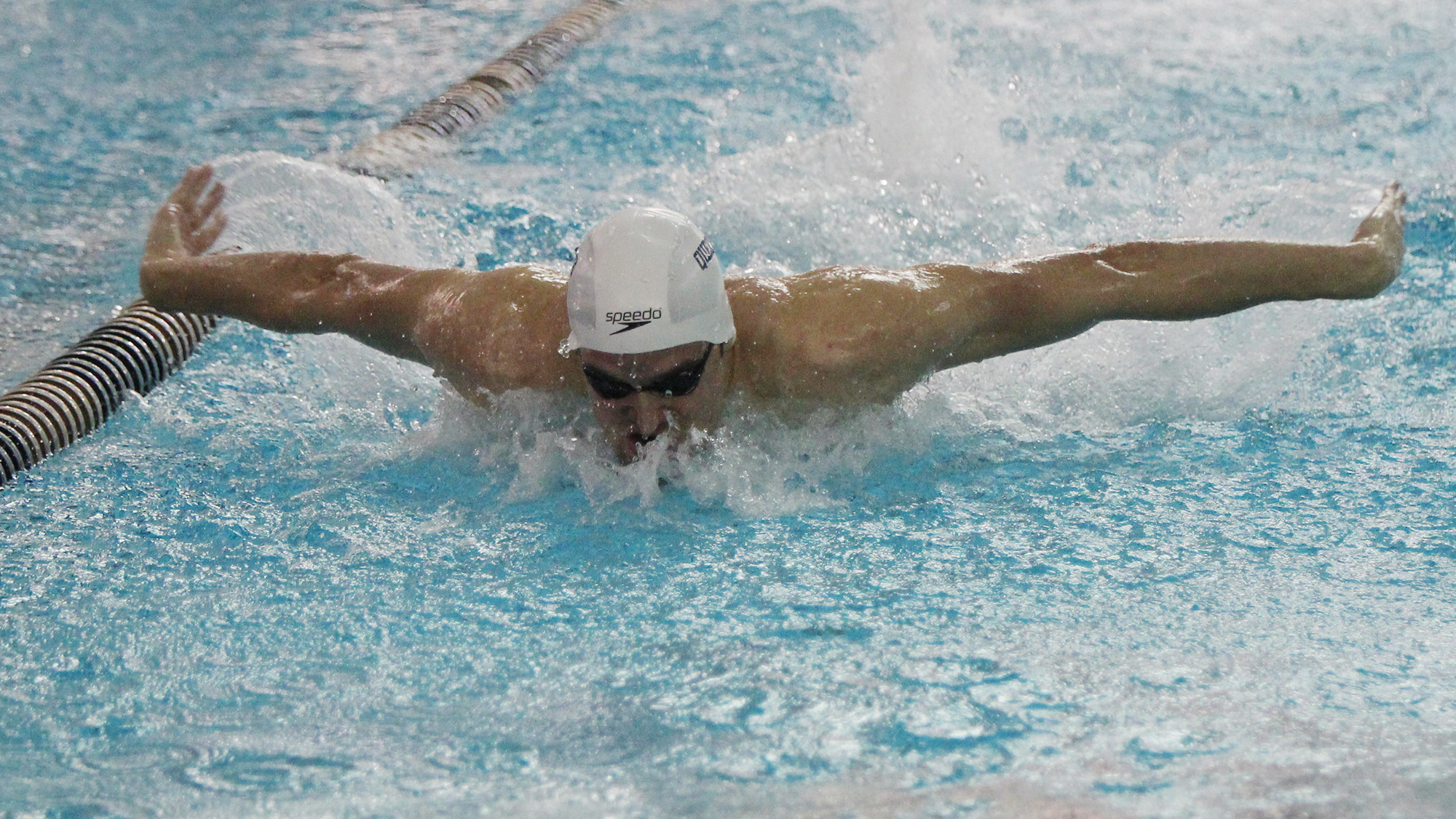 Marius Kusch - 2018-2019 - Men's Swimming & Diving - Queens University ...