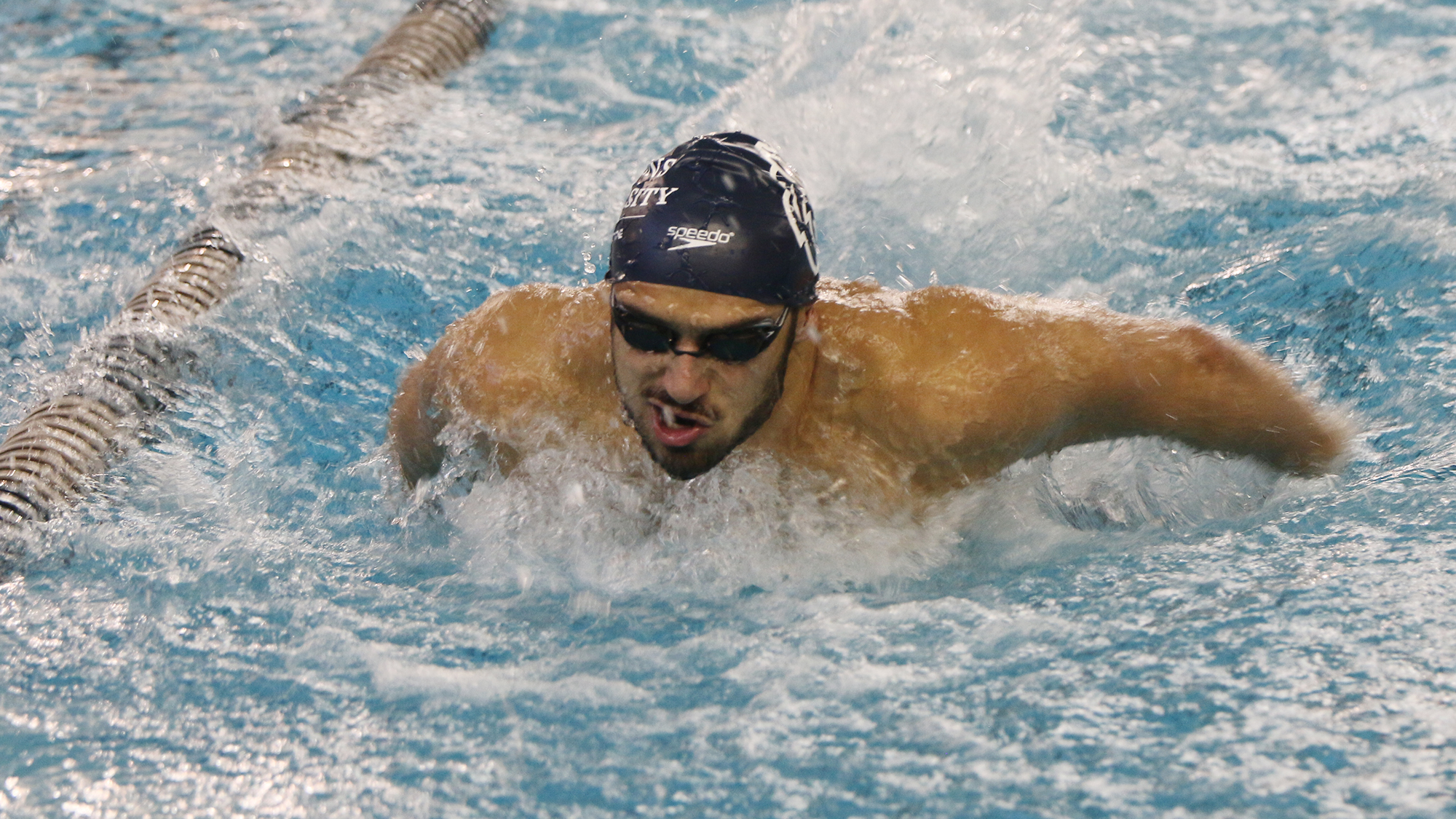 Jasper Jurman - 2019-2020 - Men's Swimming & Diving - Queens University ...