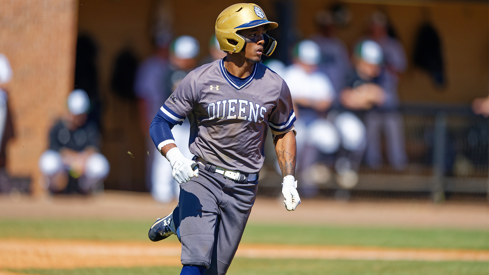 Dominic Ford - 2021 - Baseball - Queens University of Charlotte Athletics
