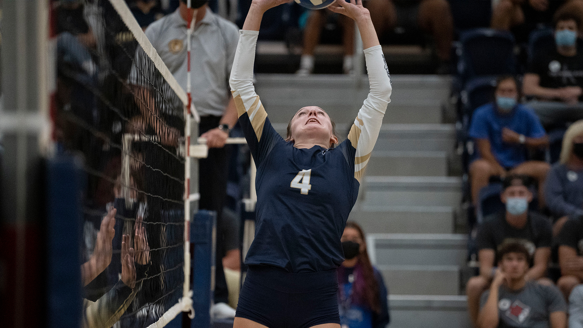 Brooke Farley - 2021 - Women's Volleyball - Queens University of ...
