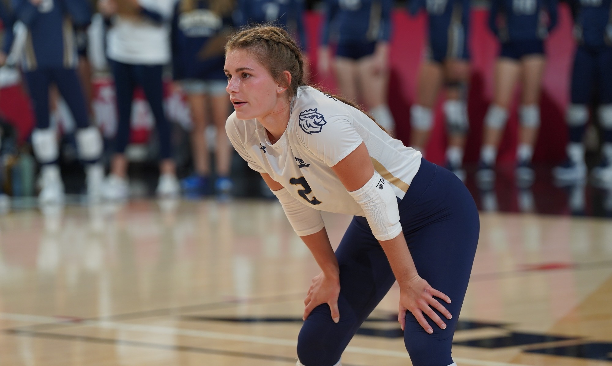 Royals Top Huskies in Final Day of Wildcat Classic - Queens University ...