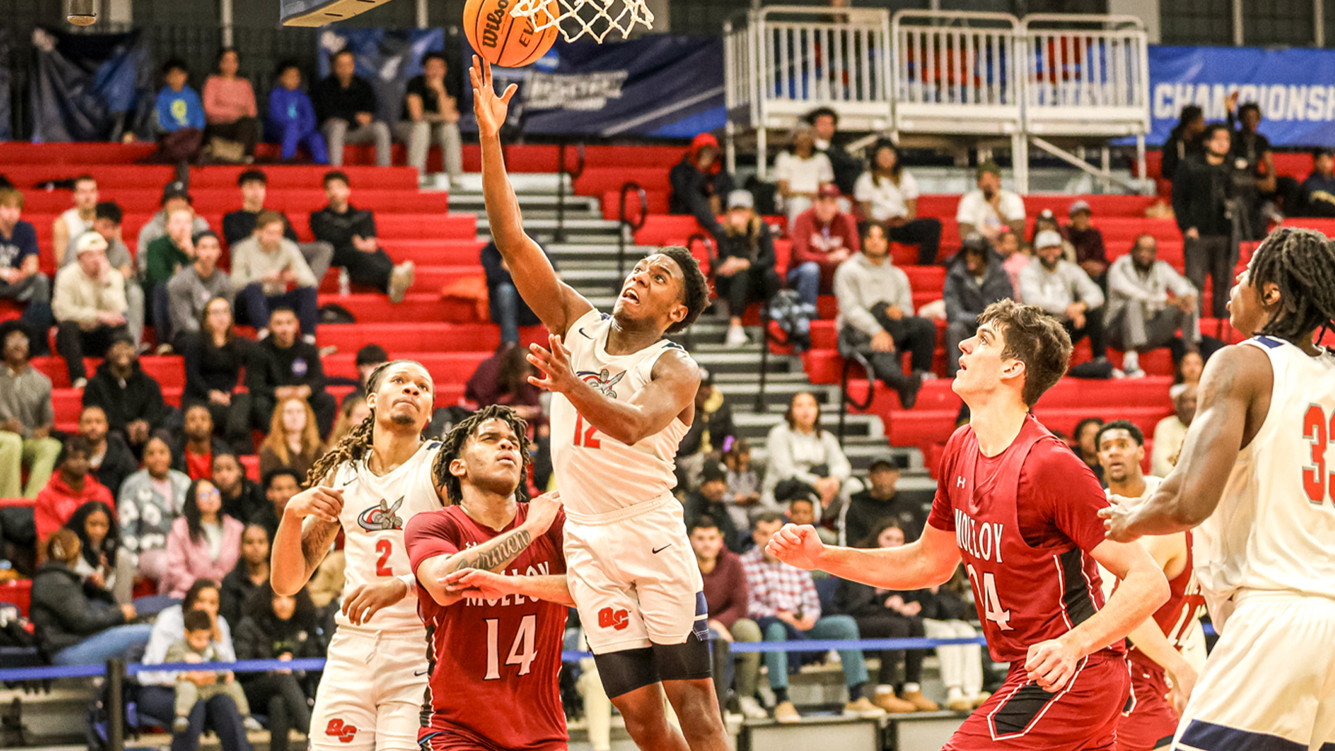 Queens College Men’s Basketball Announces 2025-2026 Season Schedule ...