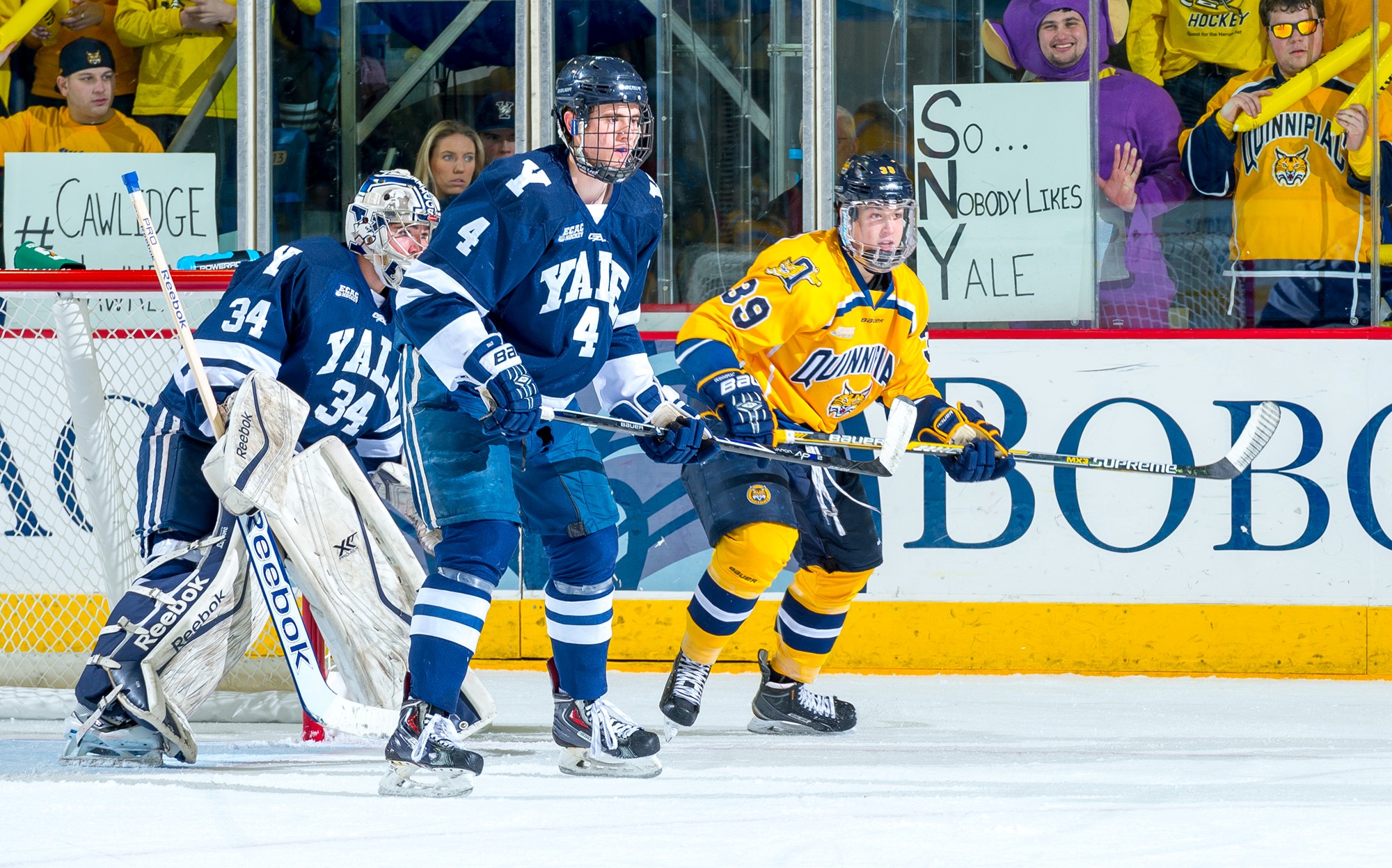 Andrew Taverner - Men's Ice Hockey - Quinnipiac University Athletics