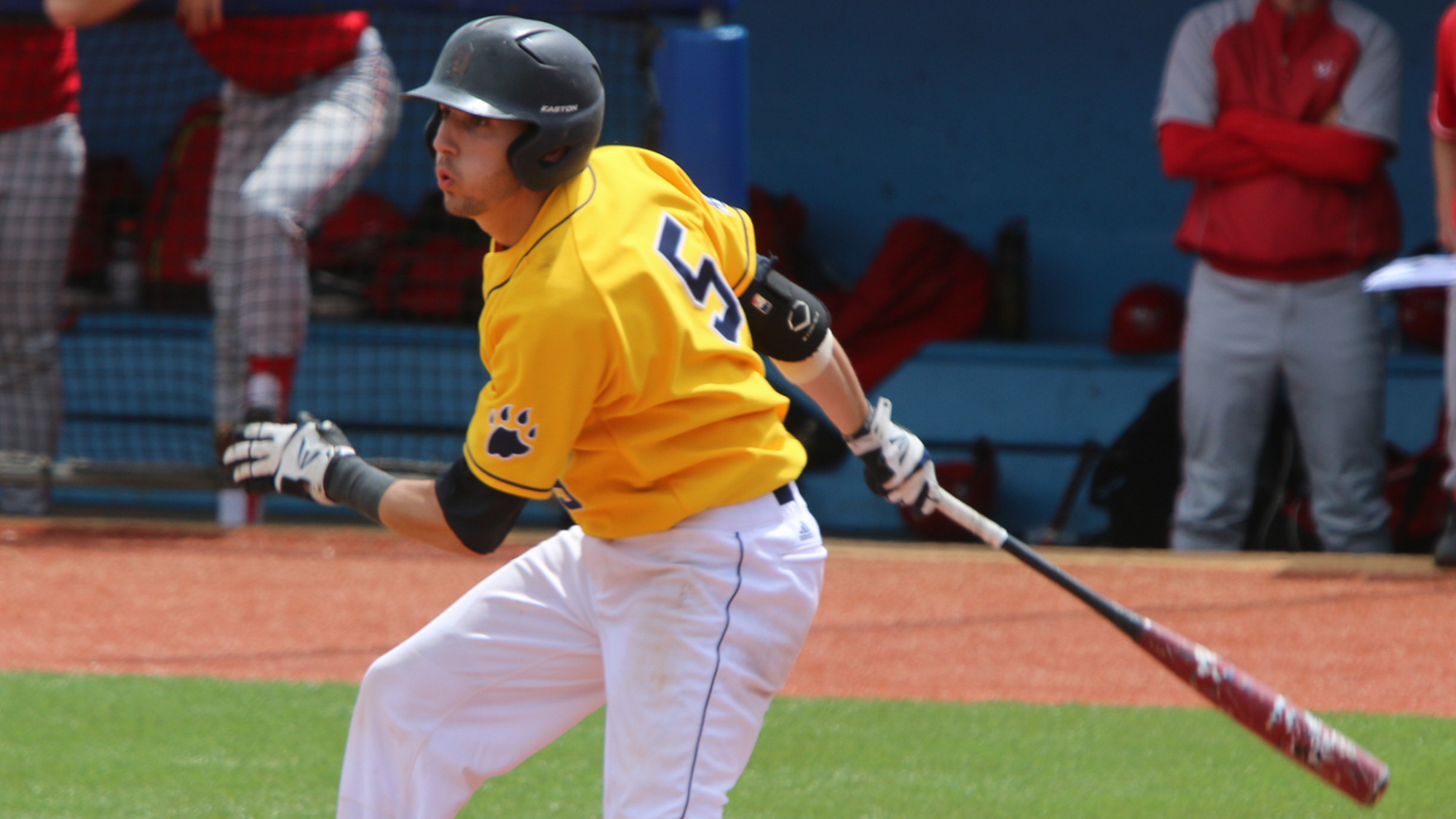 Lou Iannotti - Baseball - Quinnipiac University Athletics