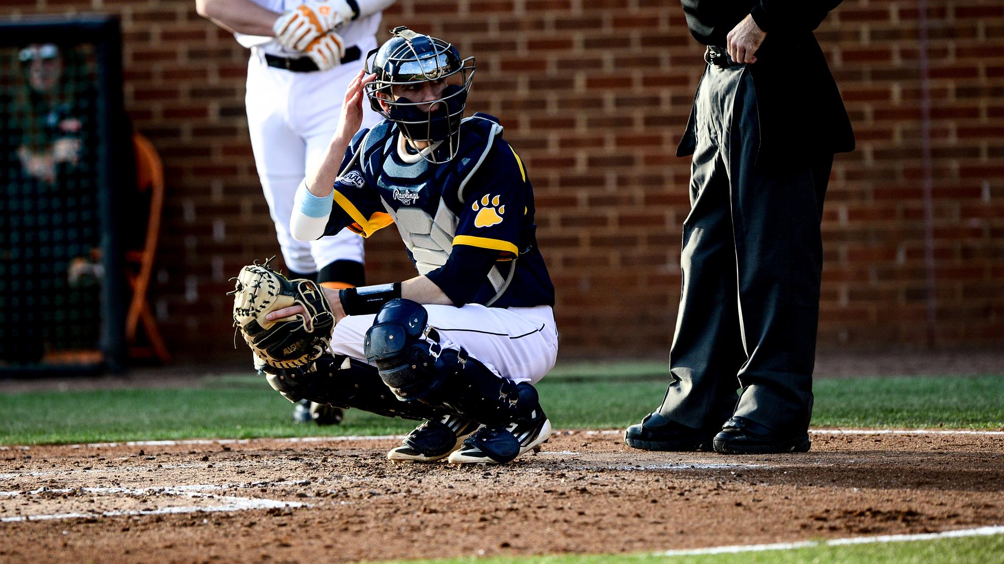 Lou Iannotti - Baseball - Quinnipiac University Athletics
