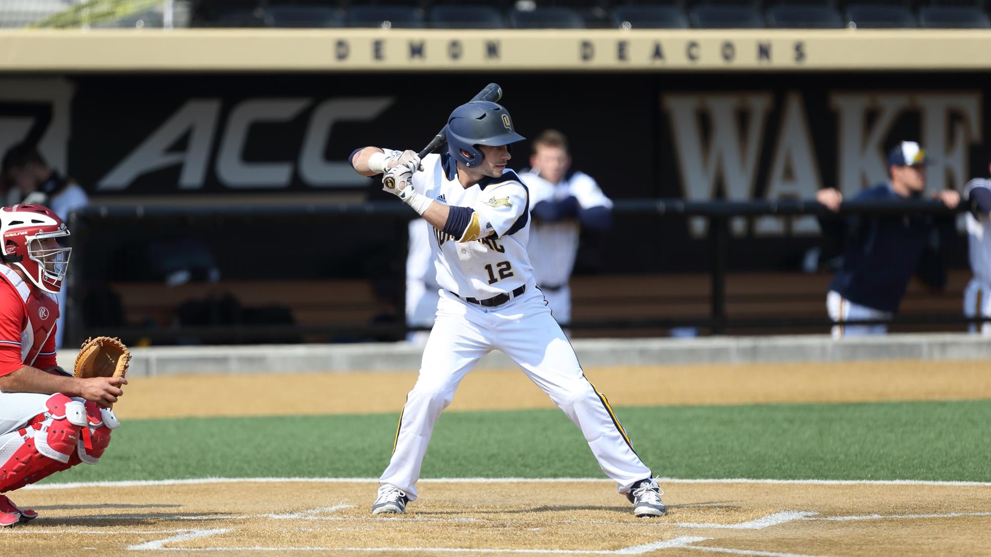 Mike Palladino - Baseball - Quinnipiac University Athletics