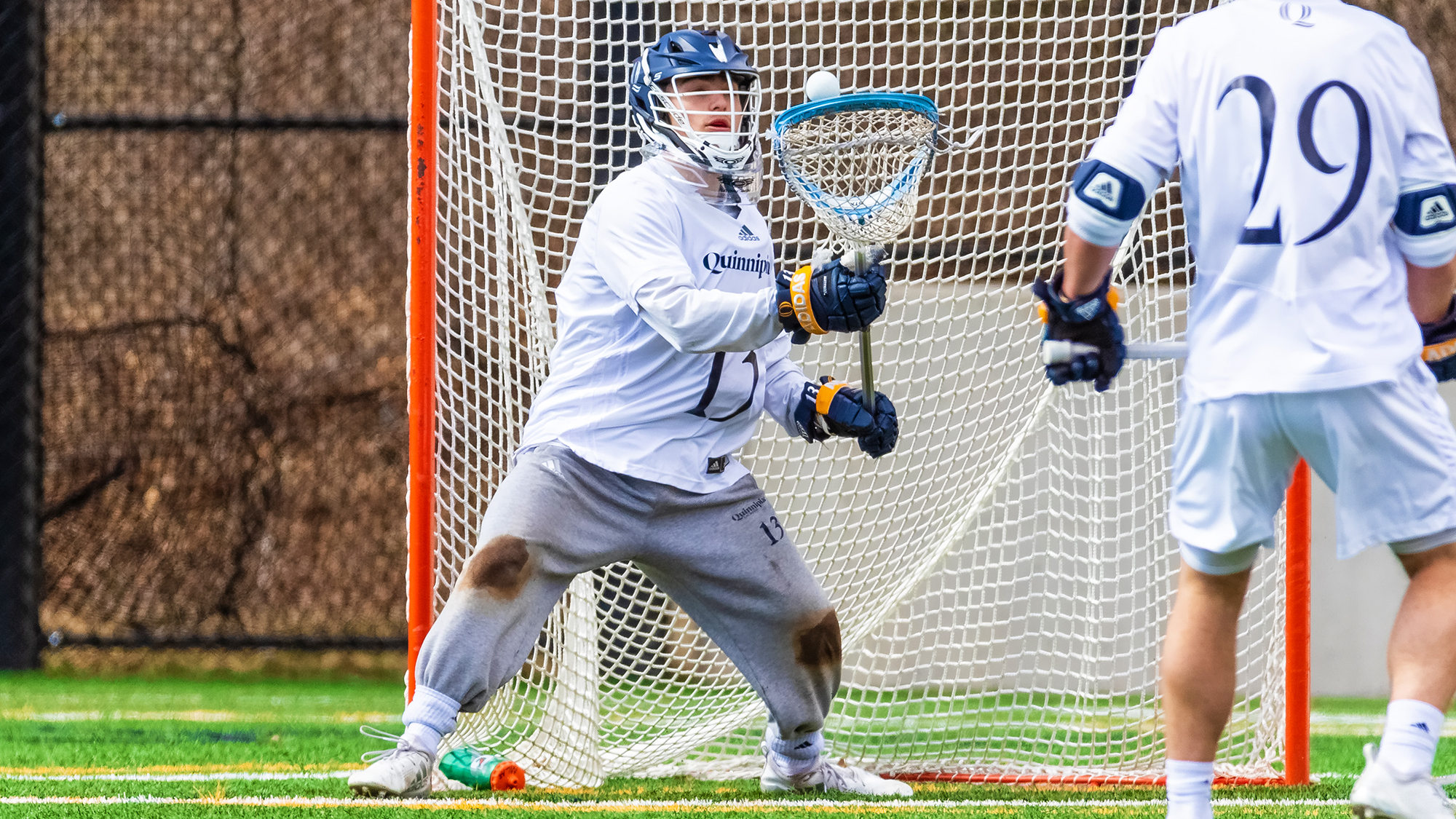 Nick DiMuccio - Men's Lacrosse - Quinnipiac University Athletics