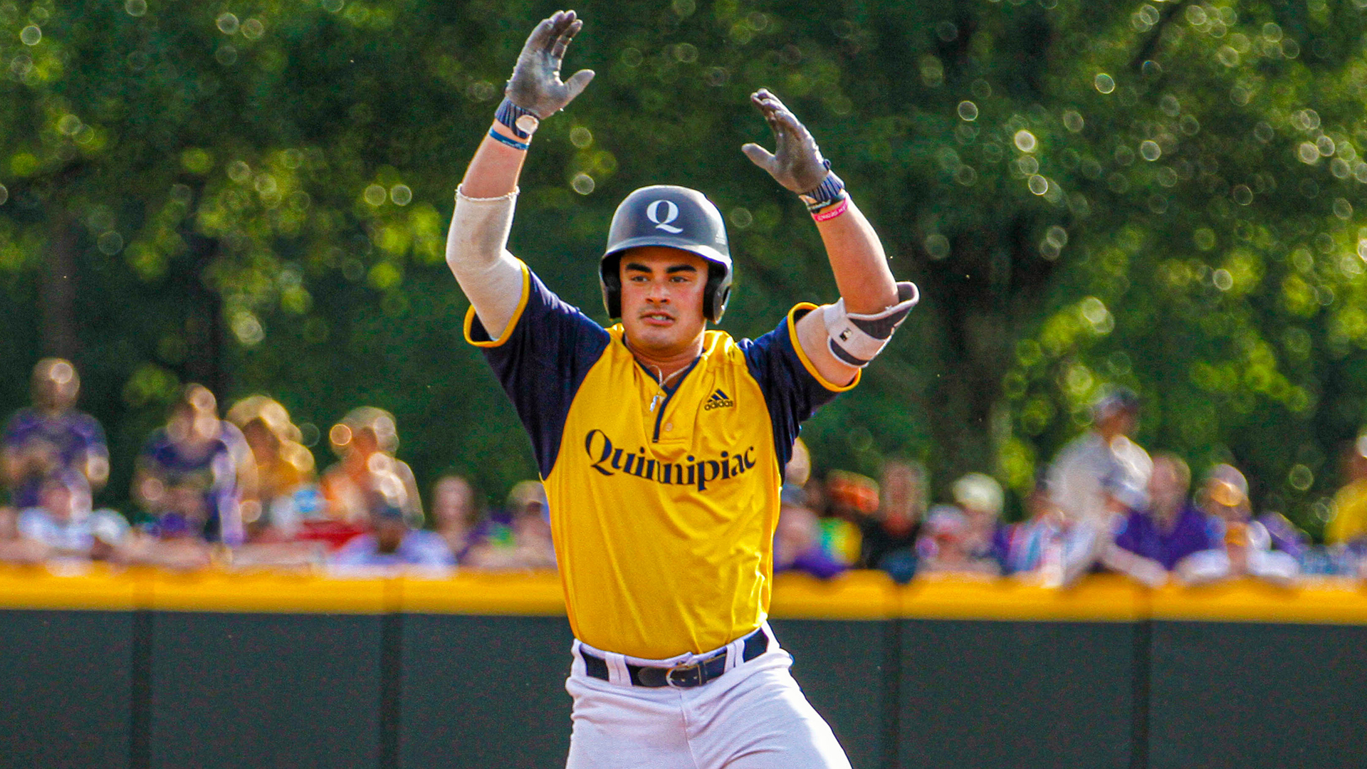 Andre Marrero - Baseball - Quinnipiac University Athletics