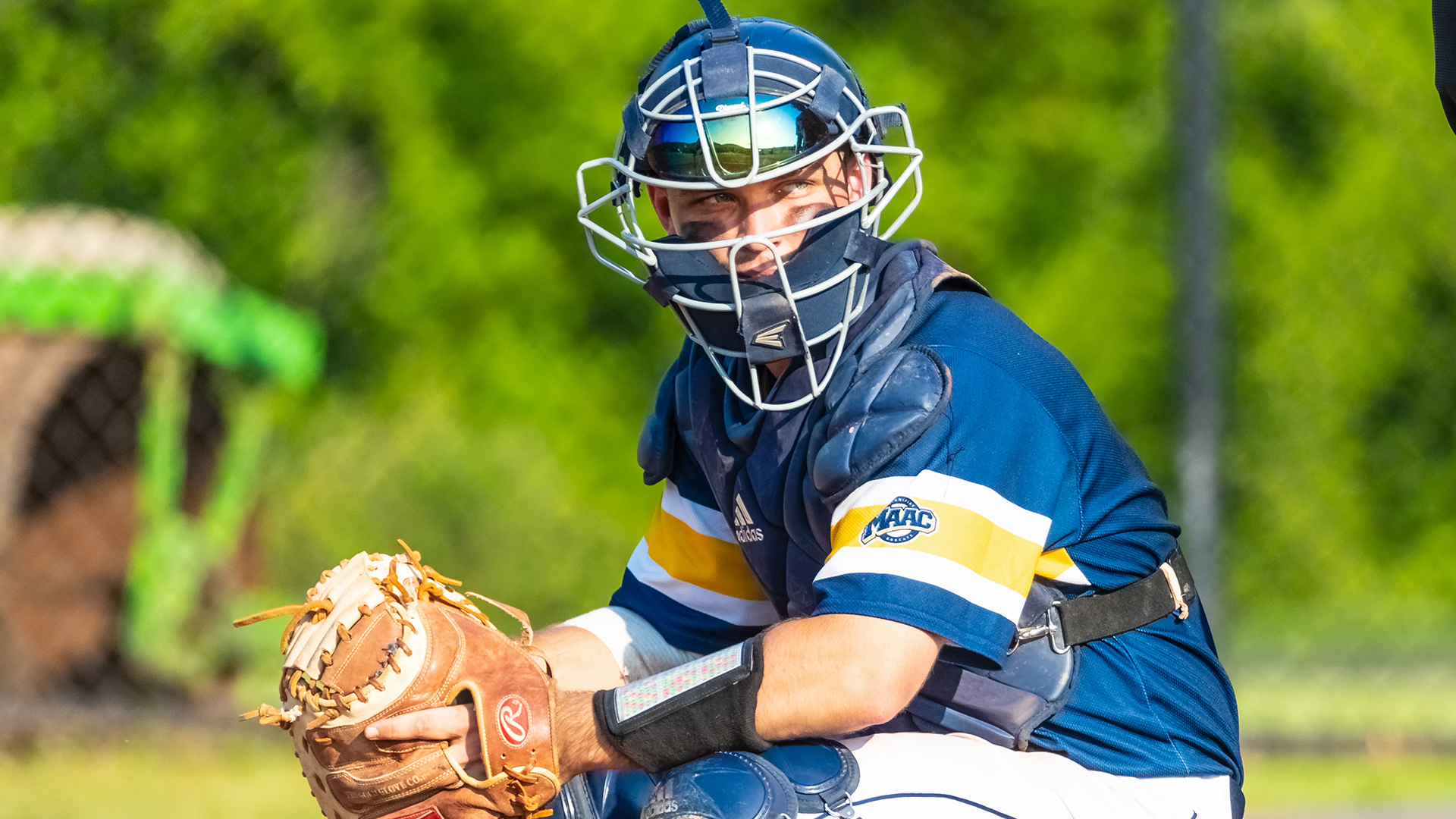 Colton Bender - Baseball - Quinnipiac University Athletics