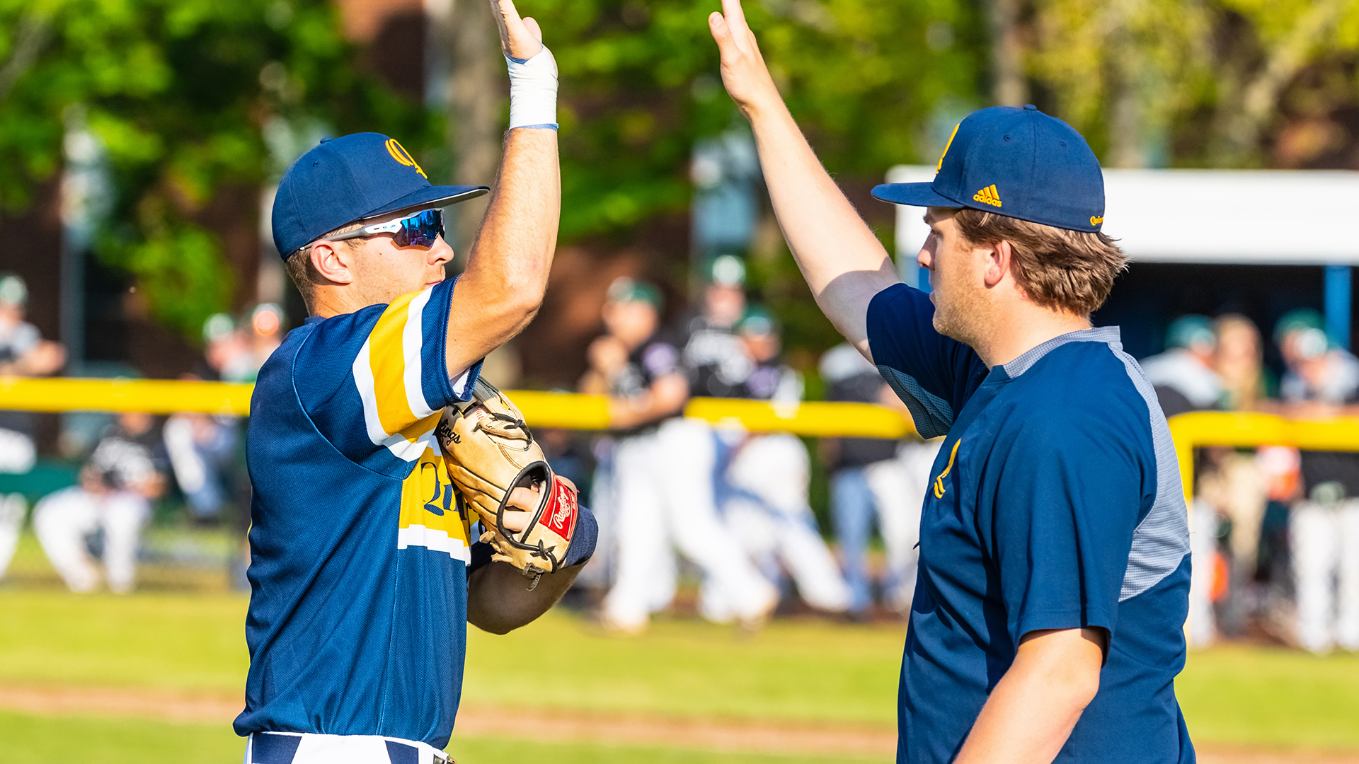 Robert Lewis - Baseball - Quinnipiac University Athletics