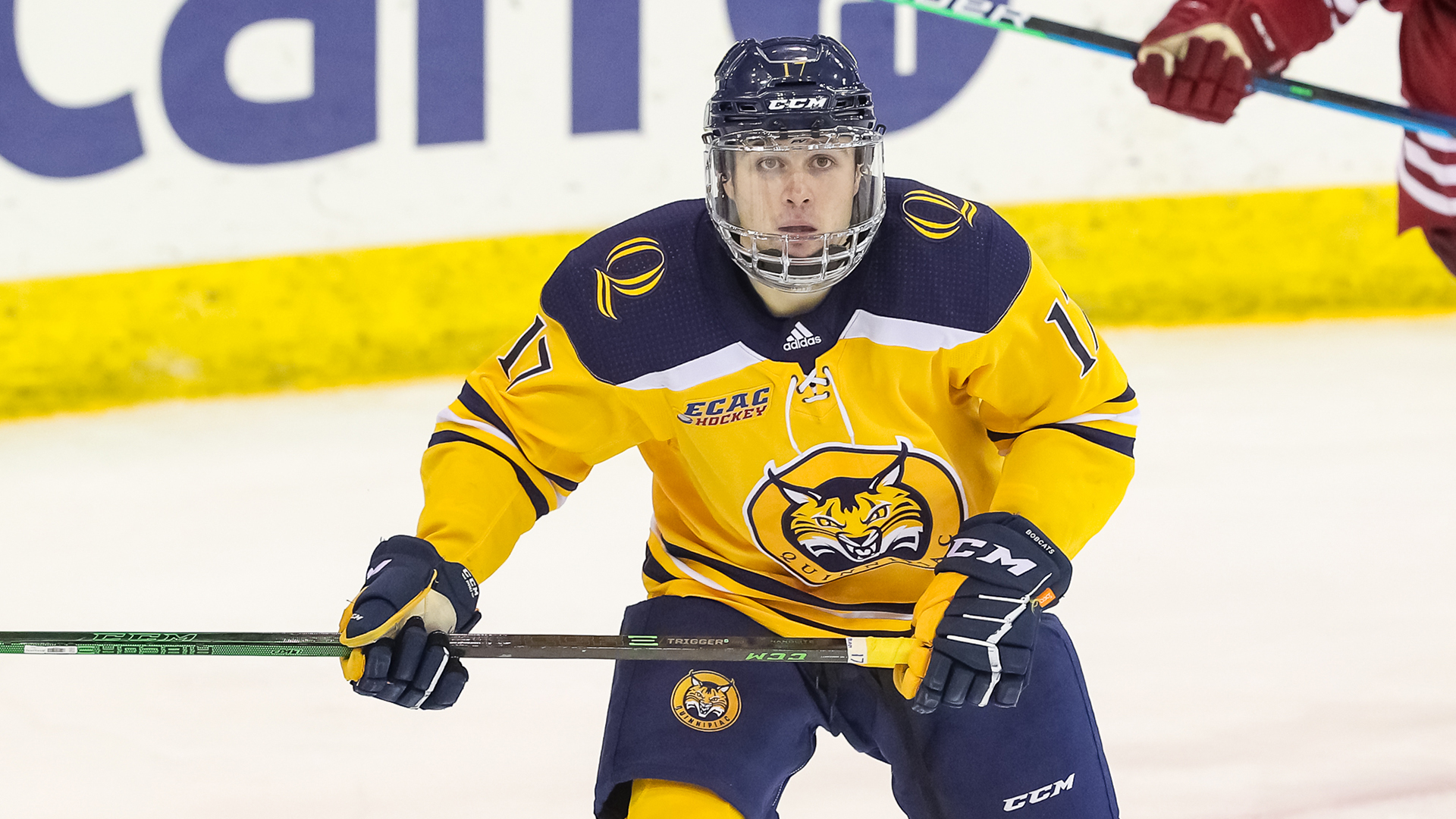 Joey Cipollone - Men's Ice Hockey - Quinnipiac University Athletics