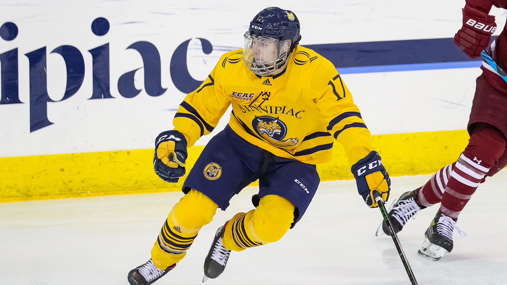 Joey Cipollone - Men's Ice Hockey - Quinnipiac University Athletics