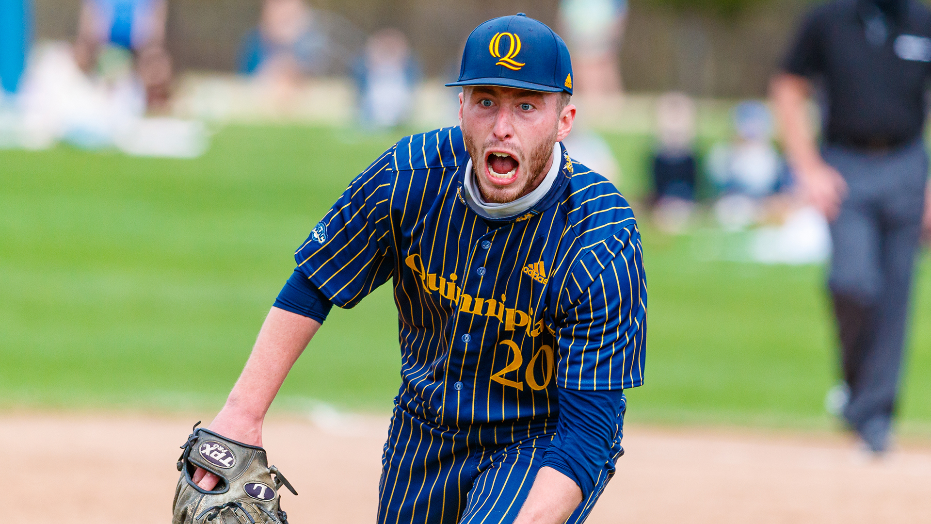 Colin Donnelly - Baseball - Quinnipiac University Athletics