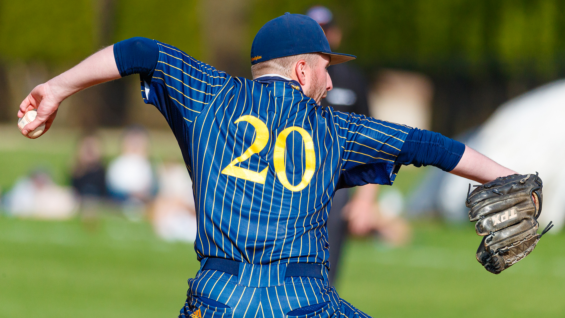 Colin Donnelly - Baseball - Quinnipiac University Athletics