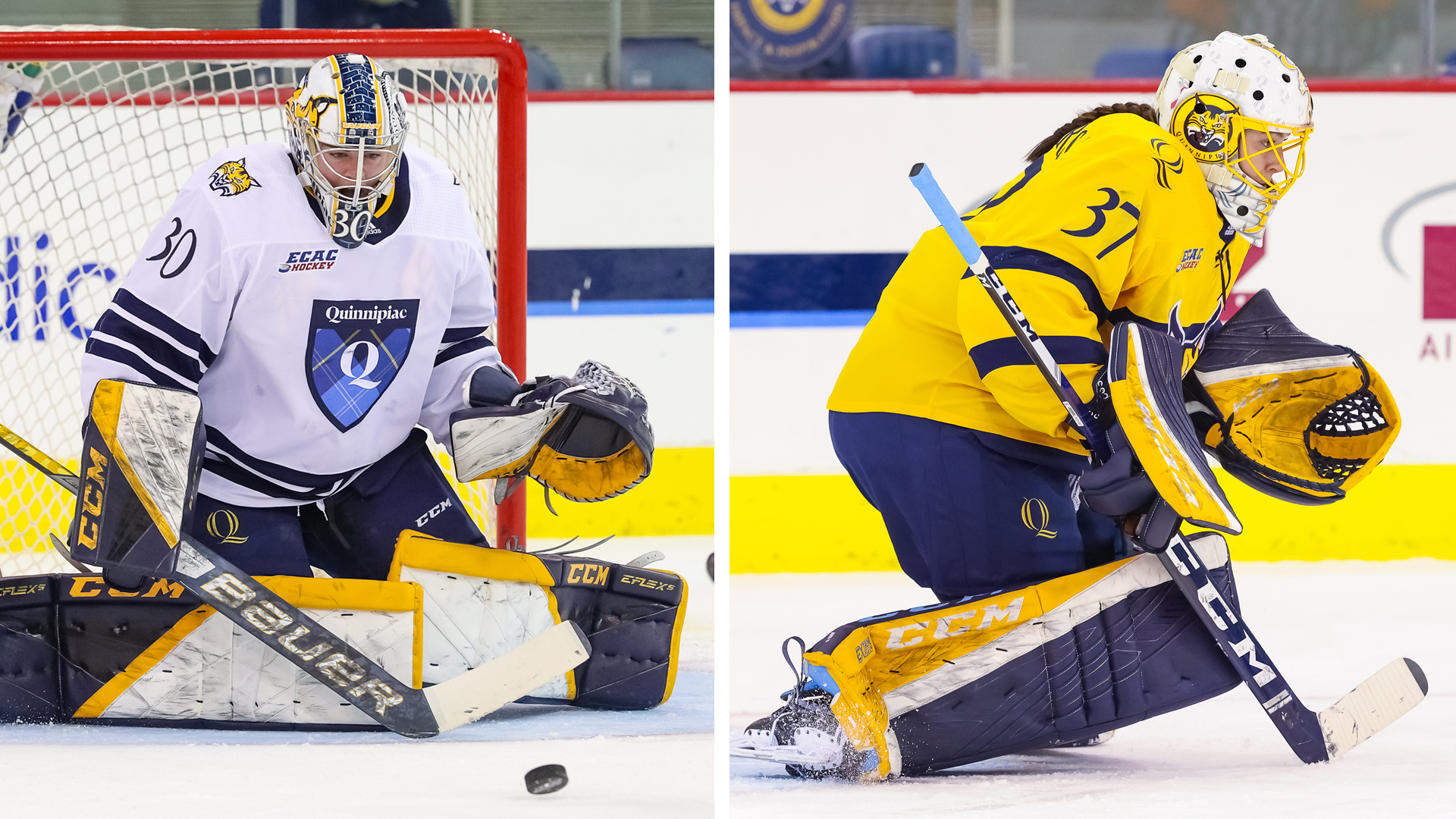 Logan Angers - Women's Ice Hockey - Quinnipiac University Athletics