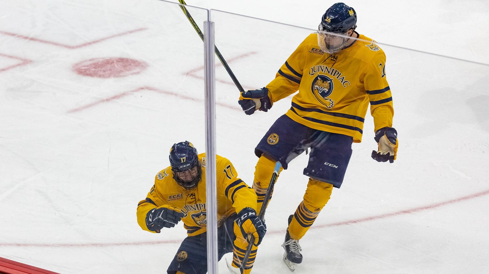 Joey Cipollone - Men's Ice Hockey - Quinnipiac University Athletics