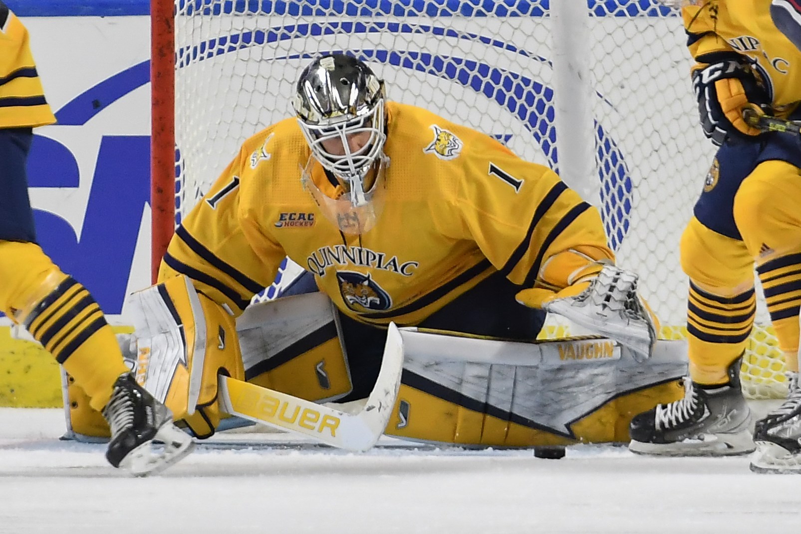 Perets Named ECAC Goaltender and Player of the Year - Quinnipiac ...