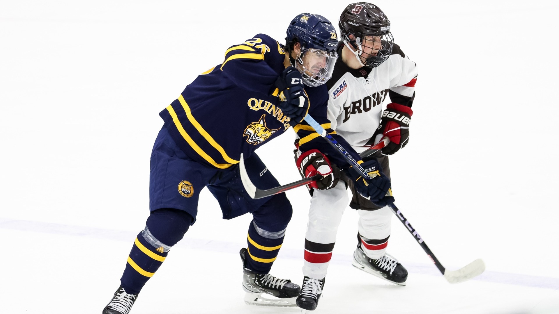 Sam Lipkin - Men's Ice Hockey - Quinnipiac University Athletics
