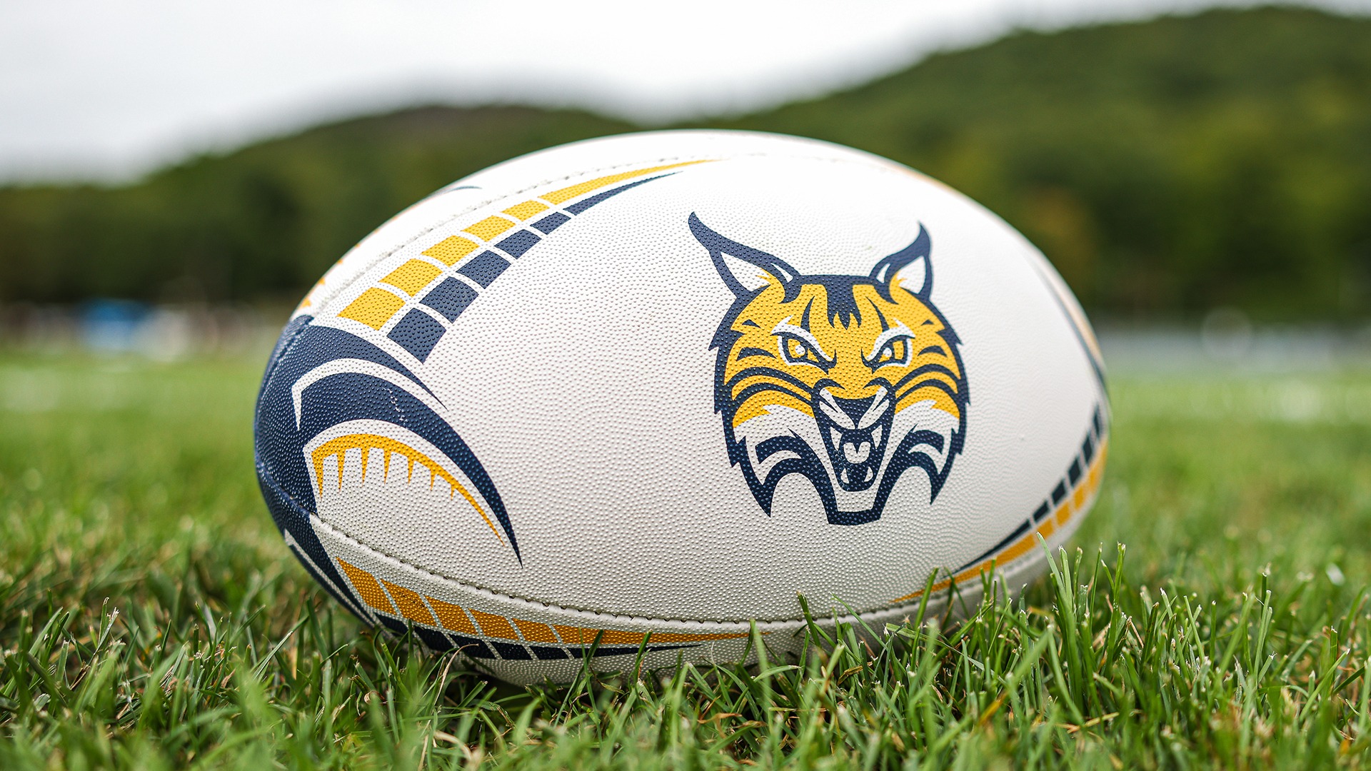Carlson Announces Addition of 10 Incoming Student-Athletes - Quinnipiac ...