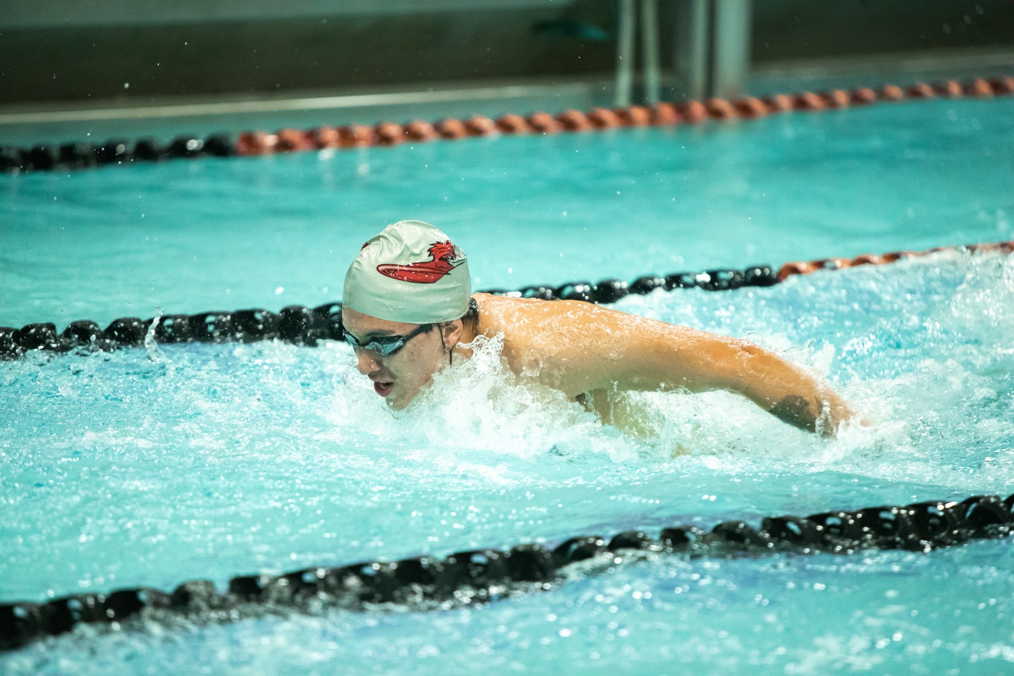 MEN'S SWIMMING COMPETES AT MET CHAMPIONSHIPS - Ramapo College of New ...