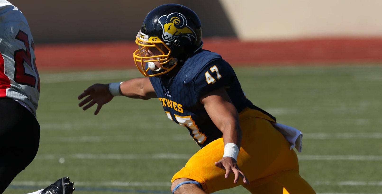 Andrew Rangel - Football - Texas Wesleyan University Athletics