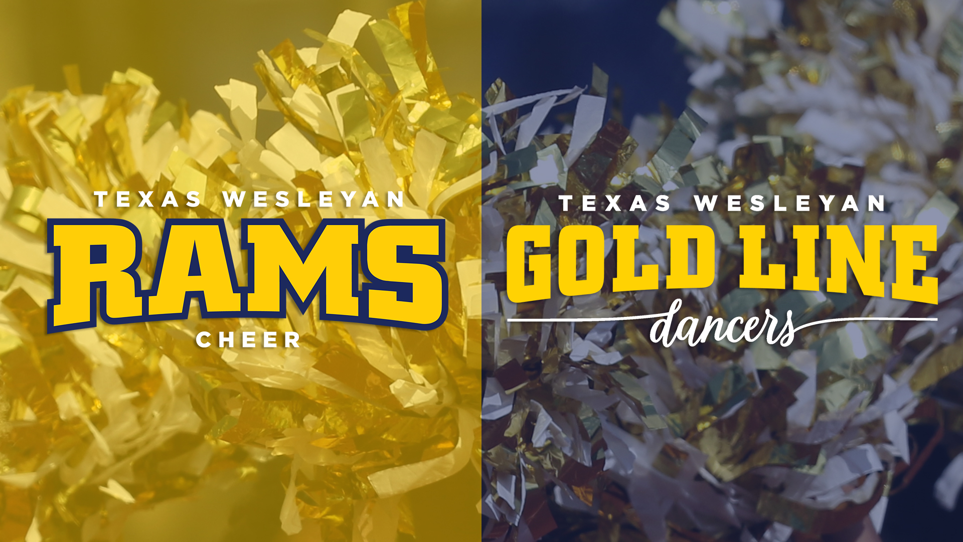 Join the Team - Texas Wesleyan University Athletics