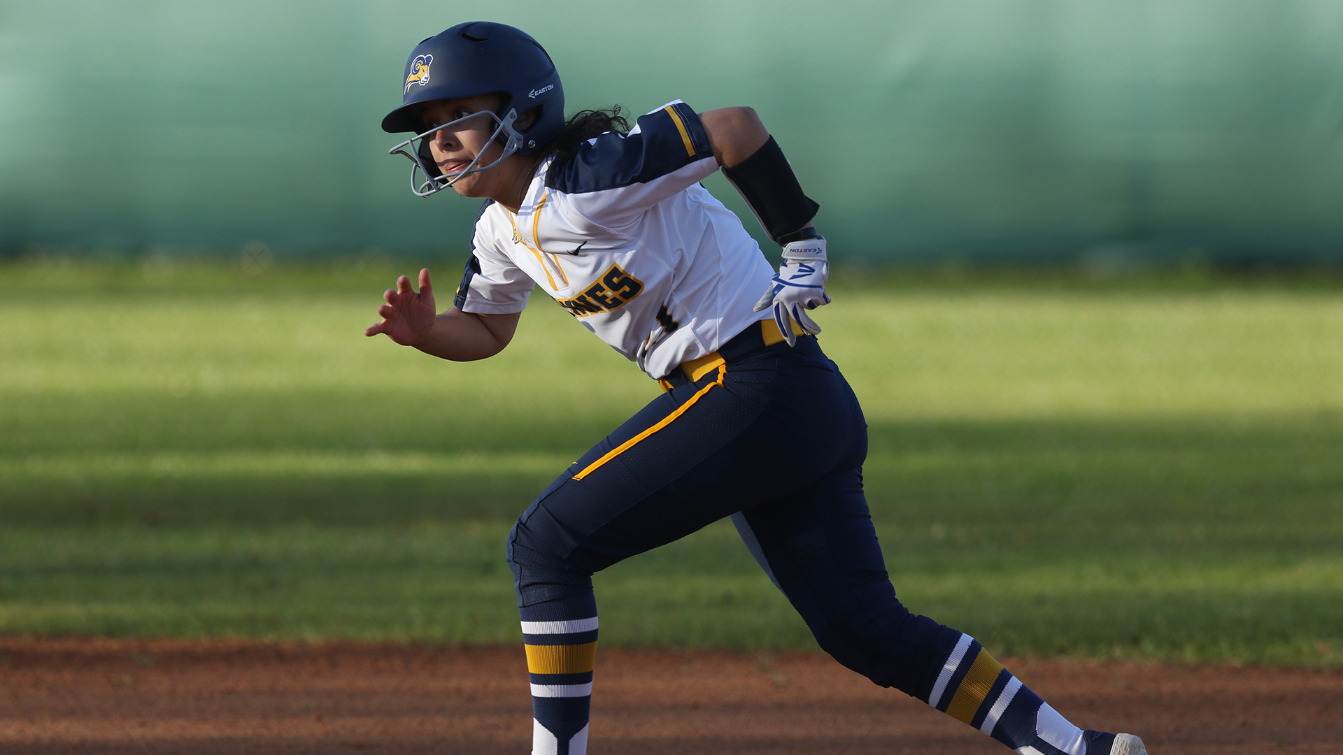Rebecca Finley - Softball - Texas Wesleyan University Athletics