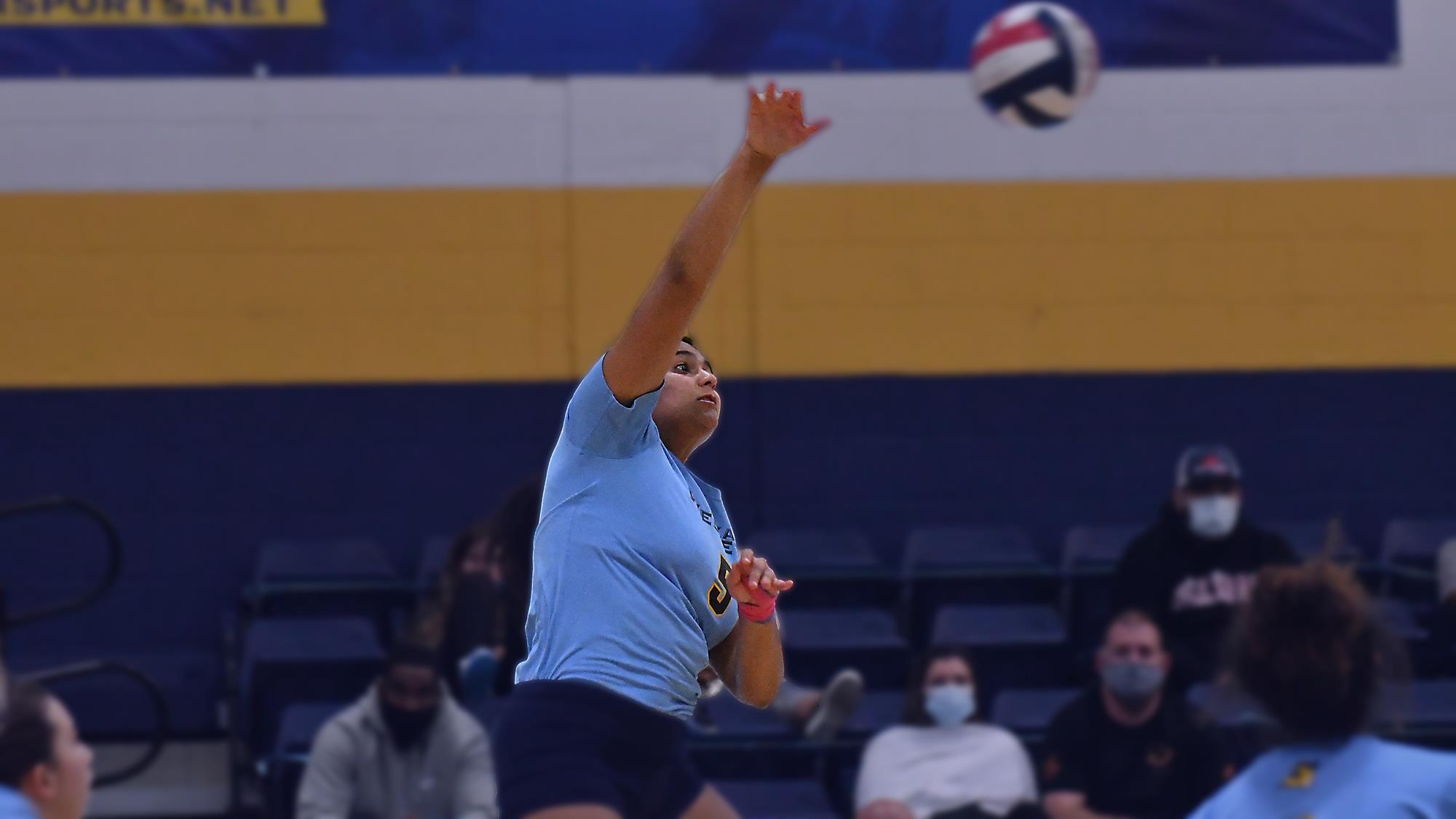 Volleyball takes SCU in straight sets - Texas Wesleyan University Athletics