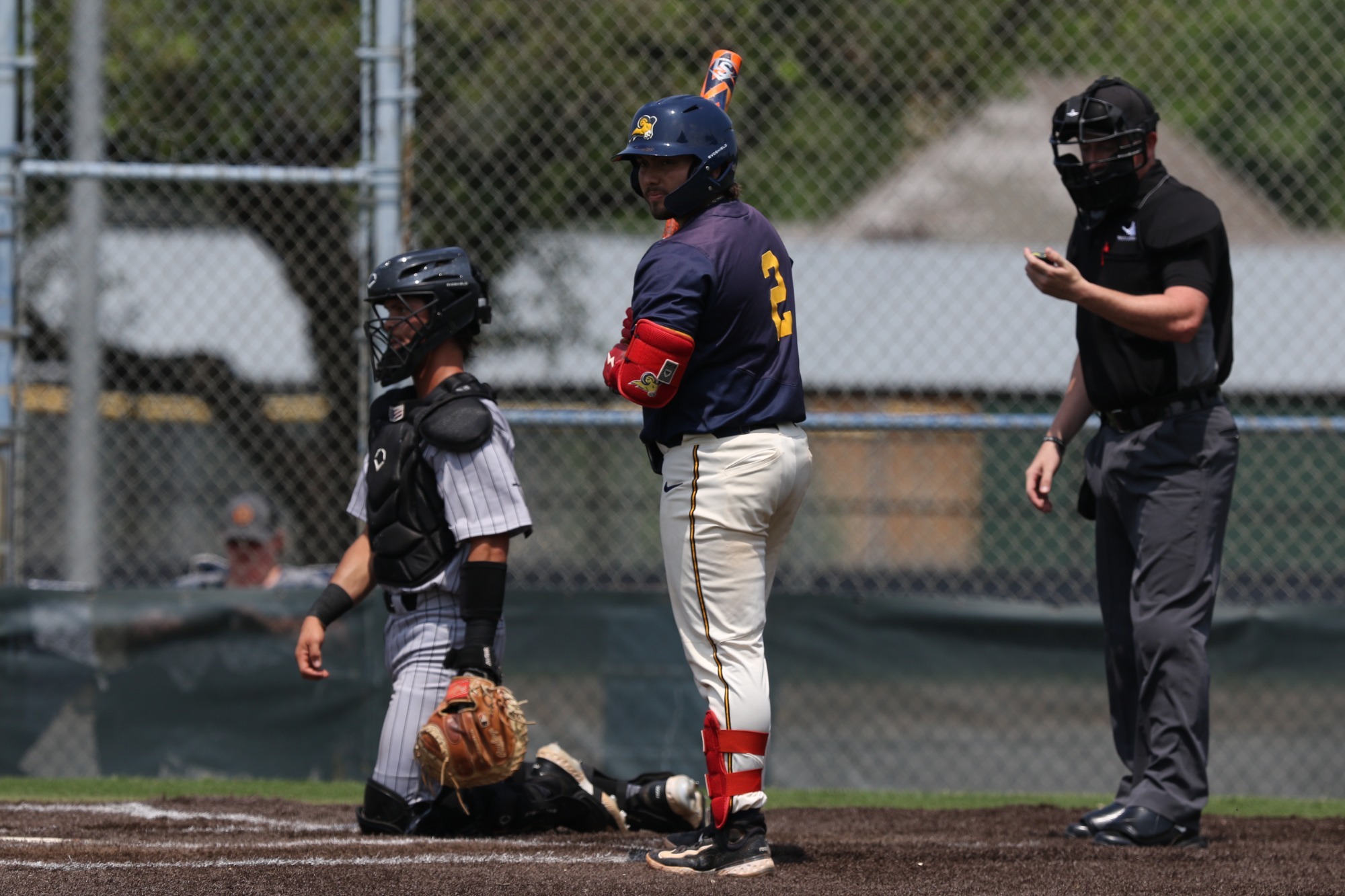 BB: Rams Fall to No. 2 Pilots in Regular Season Finale - Texas Wesleyan ...