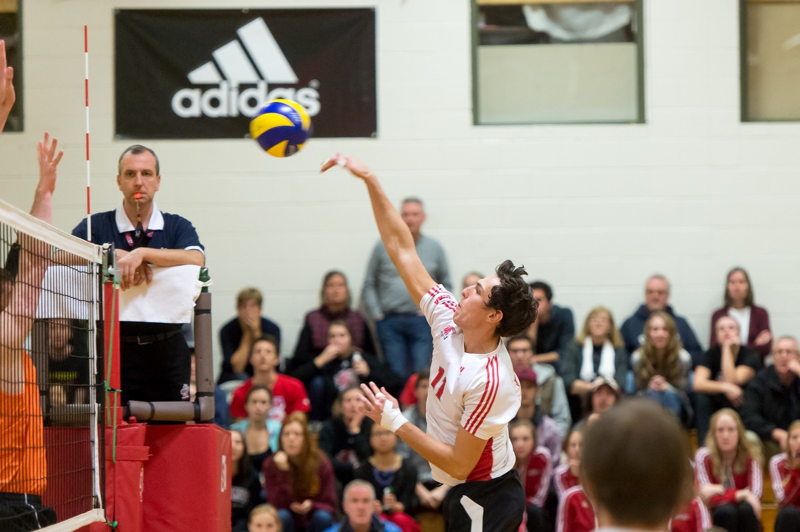 Morgan Rutledge - Men's Volleyball - Redeemer University Athletics