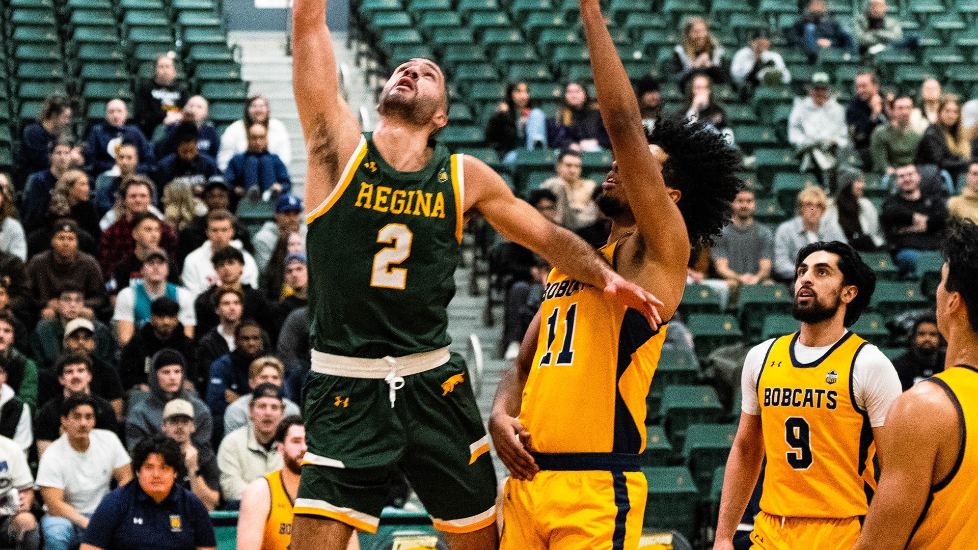 Cougars set program record for consecutive wins after Saturday victory ...