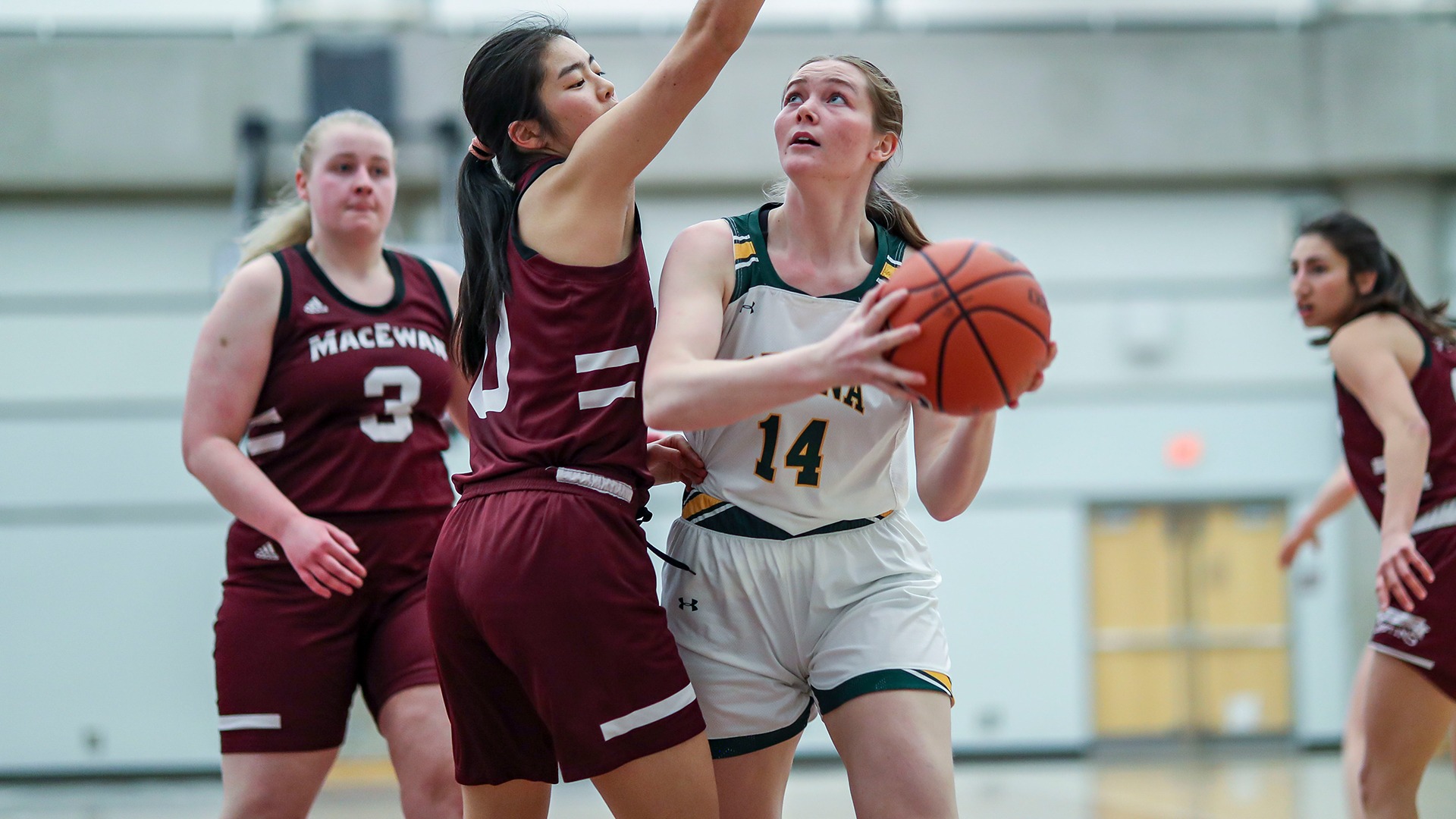 Cougars sweep MacEwan; finish with 17-3 record and claim No. 2 seed in ...