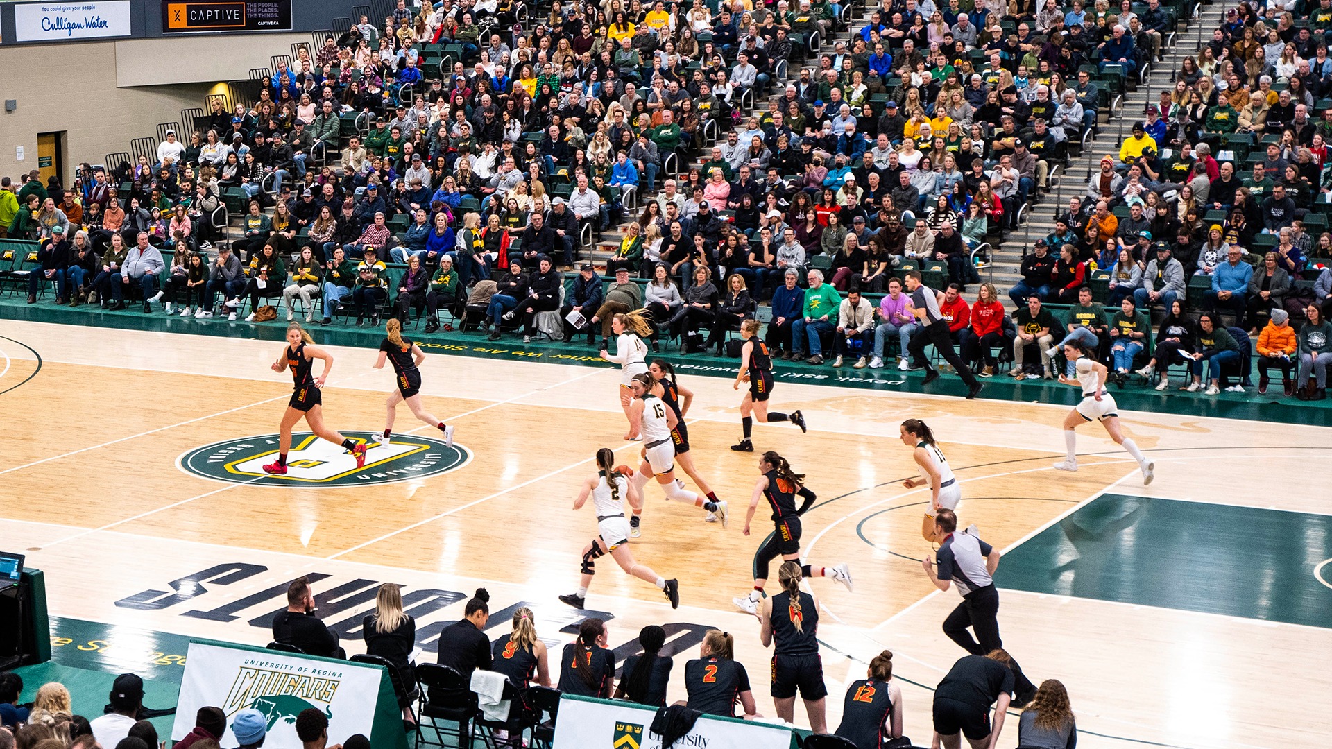 Cougars fall to Calgary in Canada West semifinal - University of Regina ...