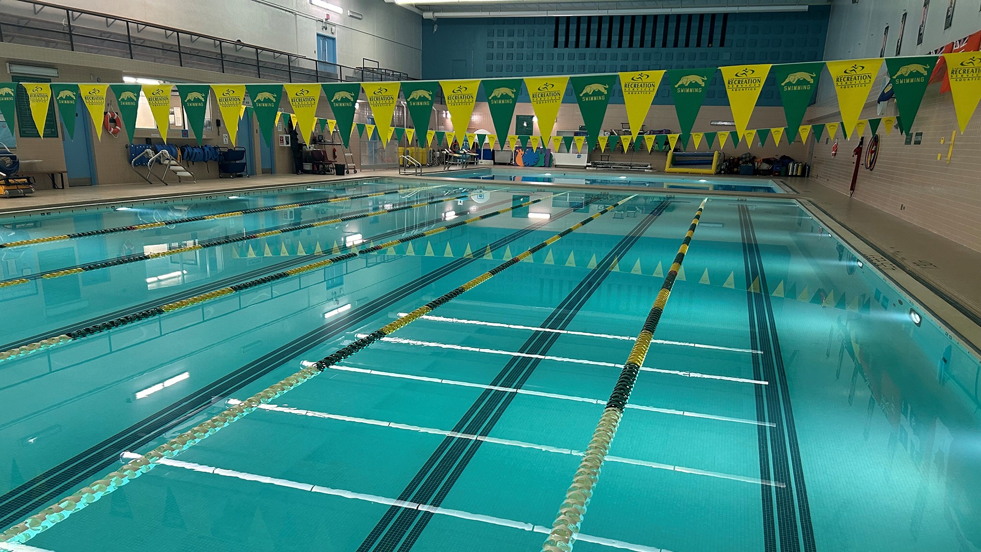 Cougar swimmer Ovesh Purahoo to represent Mauritius at 2024 Summer ...