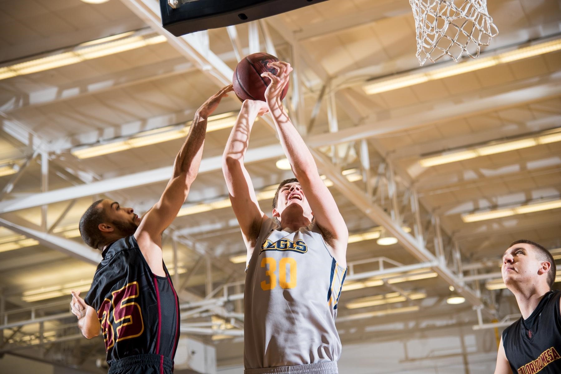Ryan Beisty - 2018-19 - Men's Basketball - Regis University Athletics