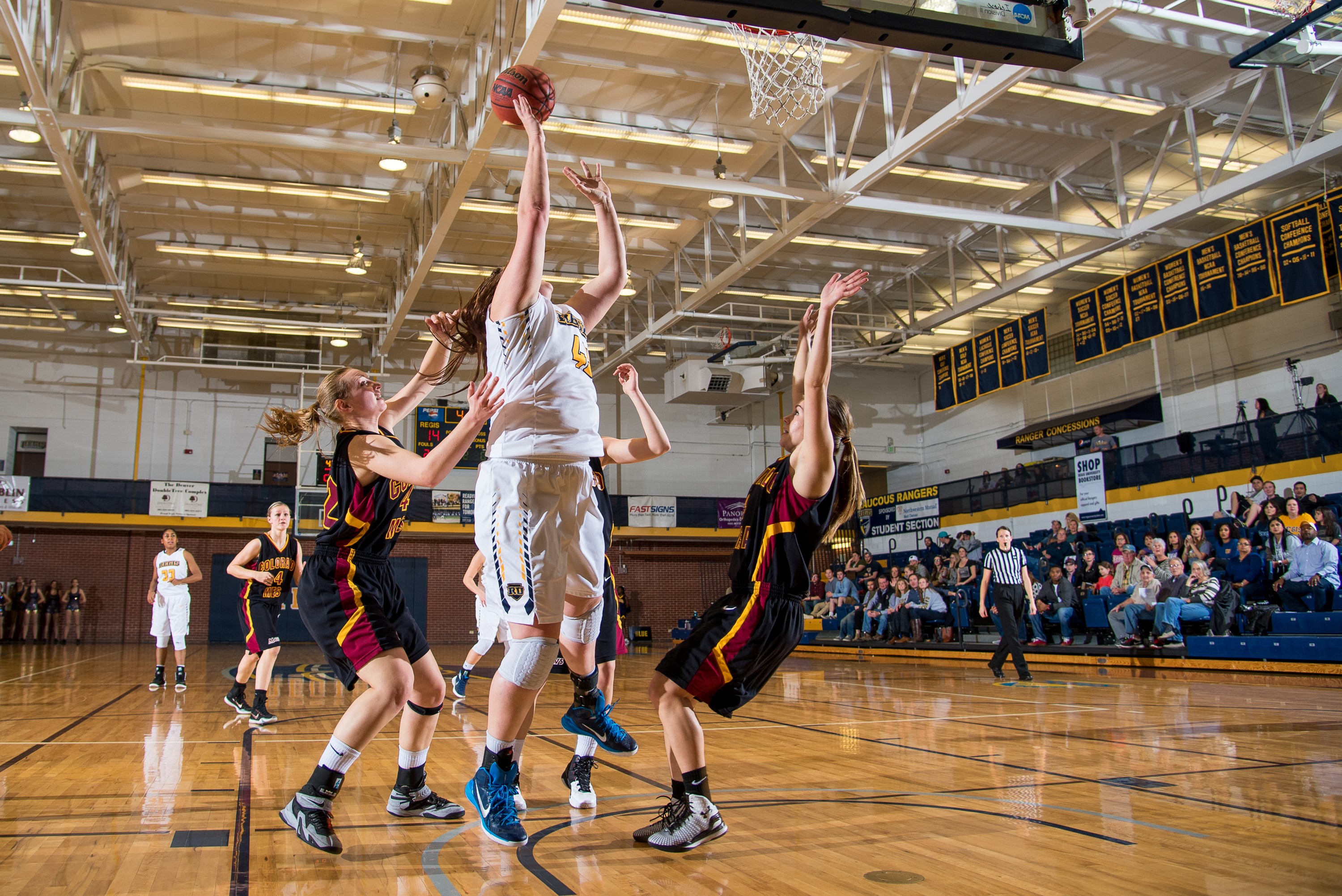 Kaylie Rader - 2016-17 - Women's Basketball - Regis University Athletics
