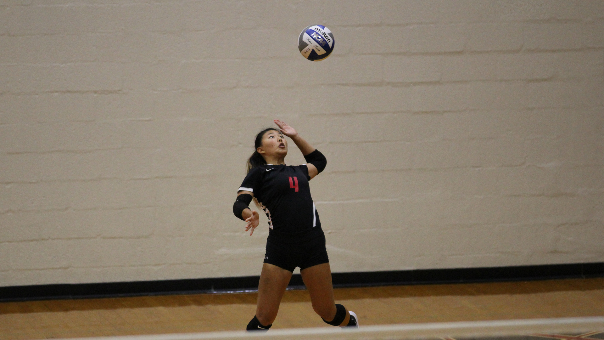 Marissa Hall - Women's Volleyball - Rhodes College Athletics