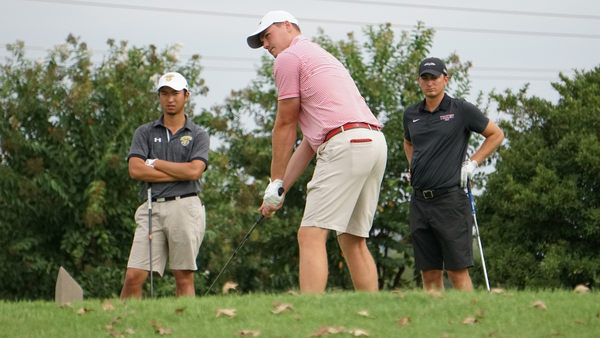 Tom Weaver - Men's Golf - Rhodes College Athletics