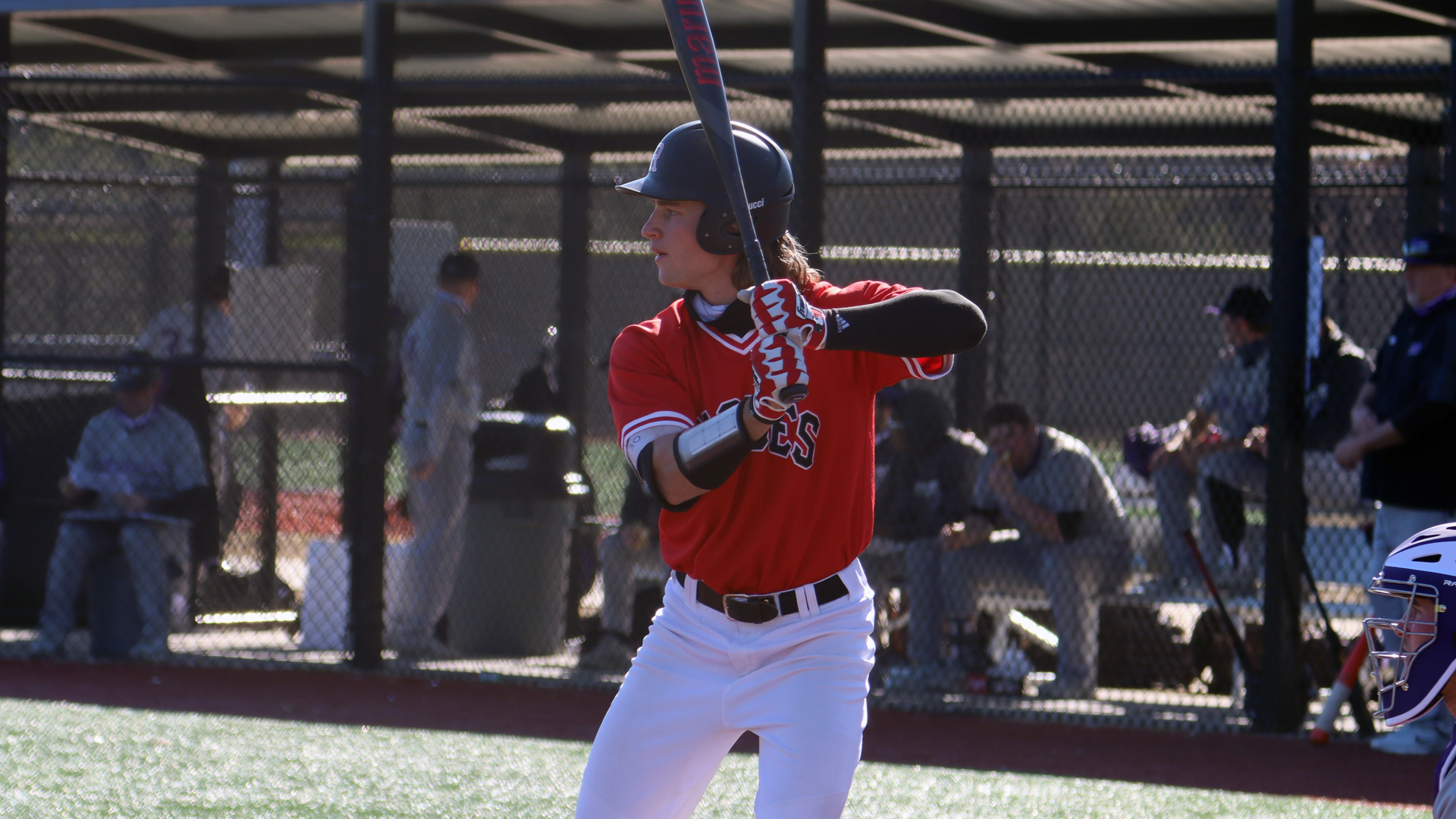 Ben Wilson - Baseball - Rhodes College Athletics
