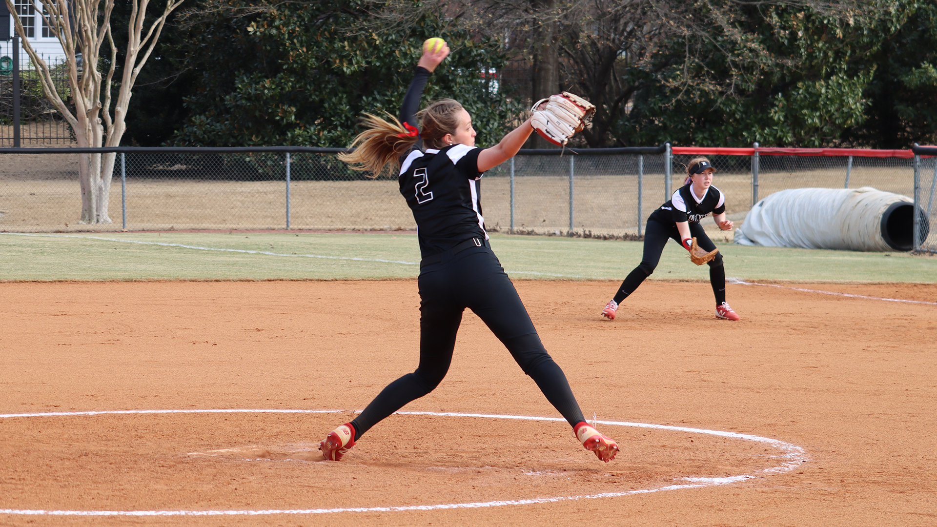 Bats Stay Hot as Lynx Sweep Weekend - Rhodes College Athletics