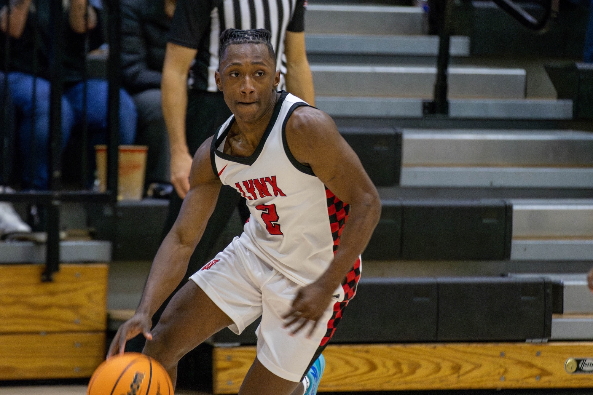 Men's Basketball Finish 1-1 over Thanksgiving Weekend - Rhodes College ...