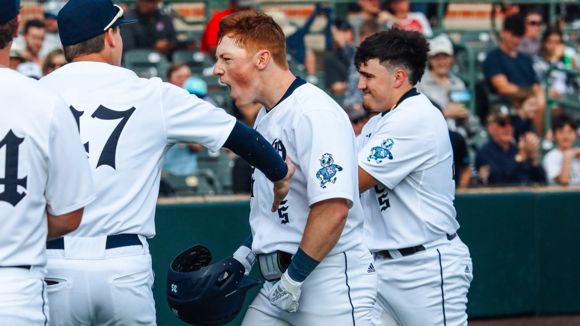 Drew Holderbach - Baseball - Rice University Athletics