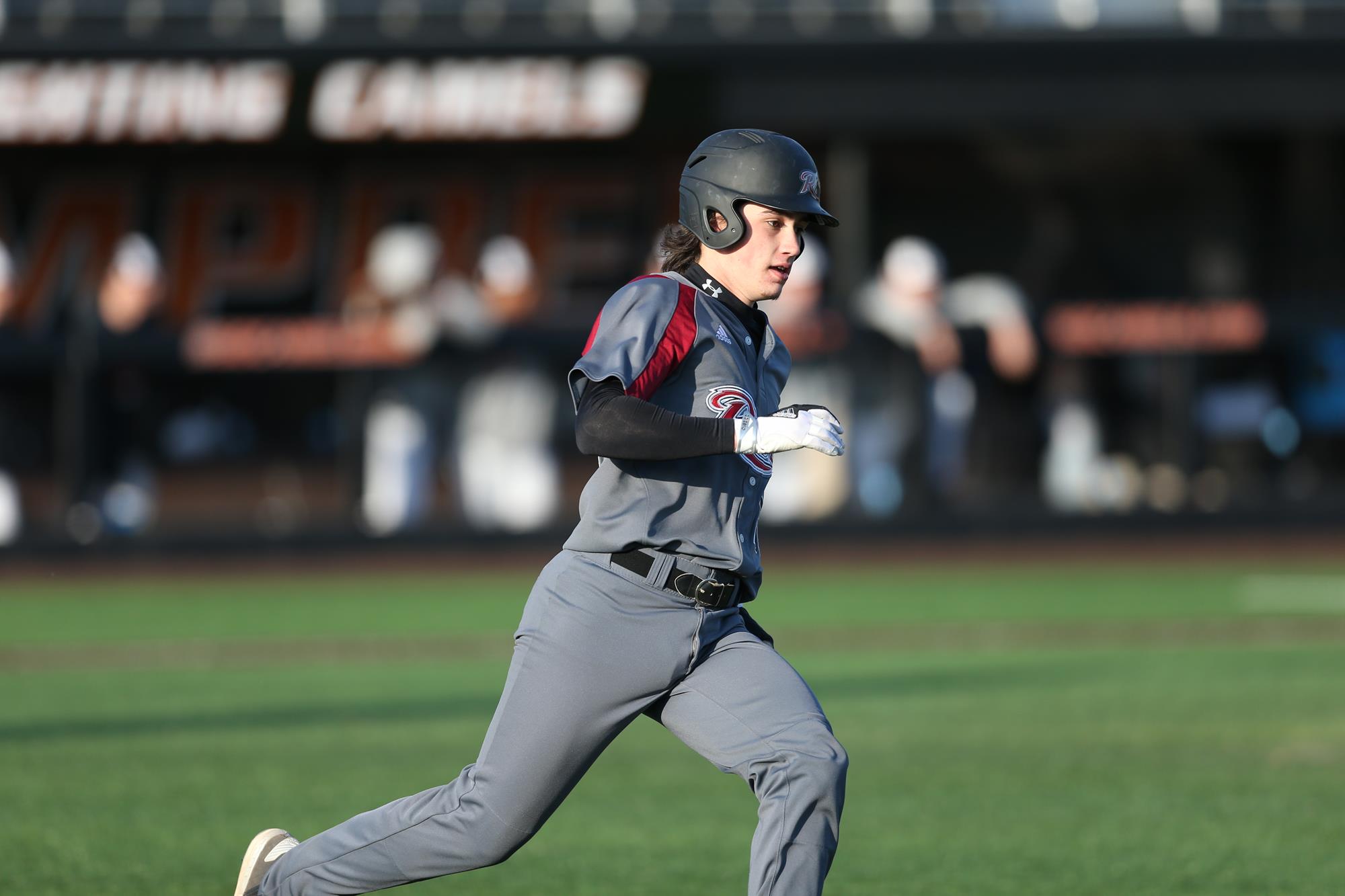 Liam Harding - Baseball - Rider University Athletics