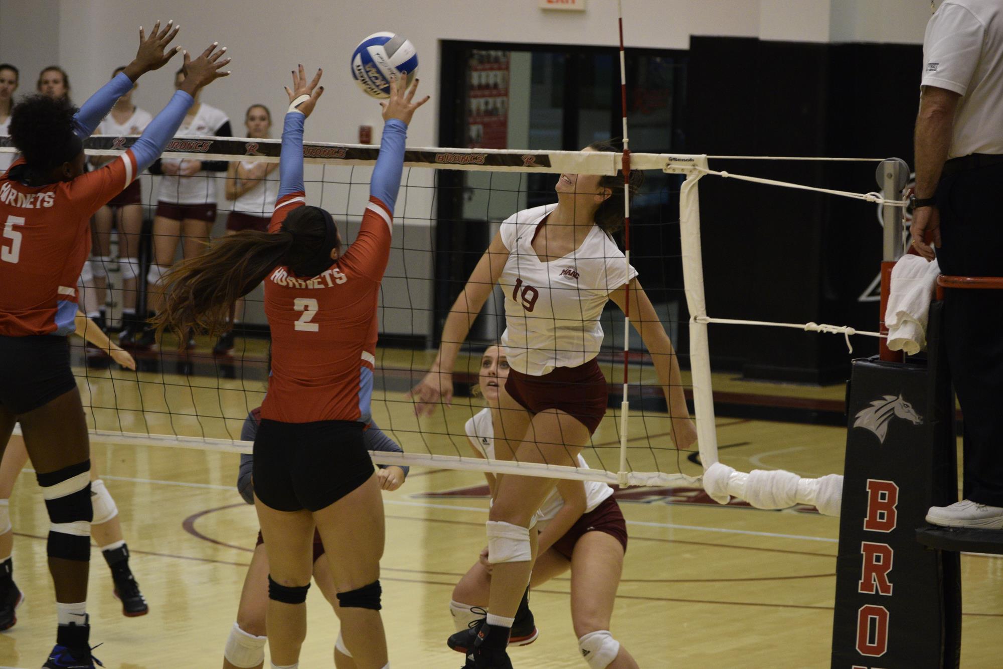 Meredith Pellegrino - Women's Volleyball - Rider University Athletics