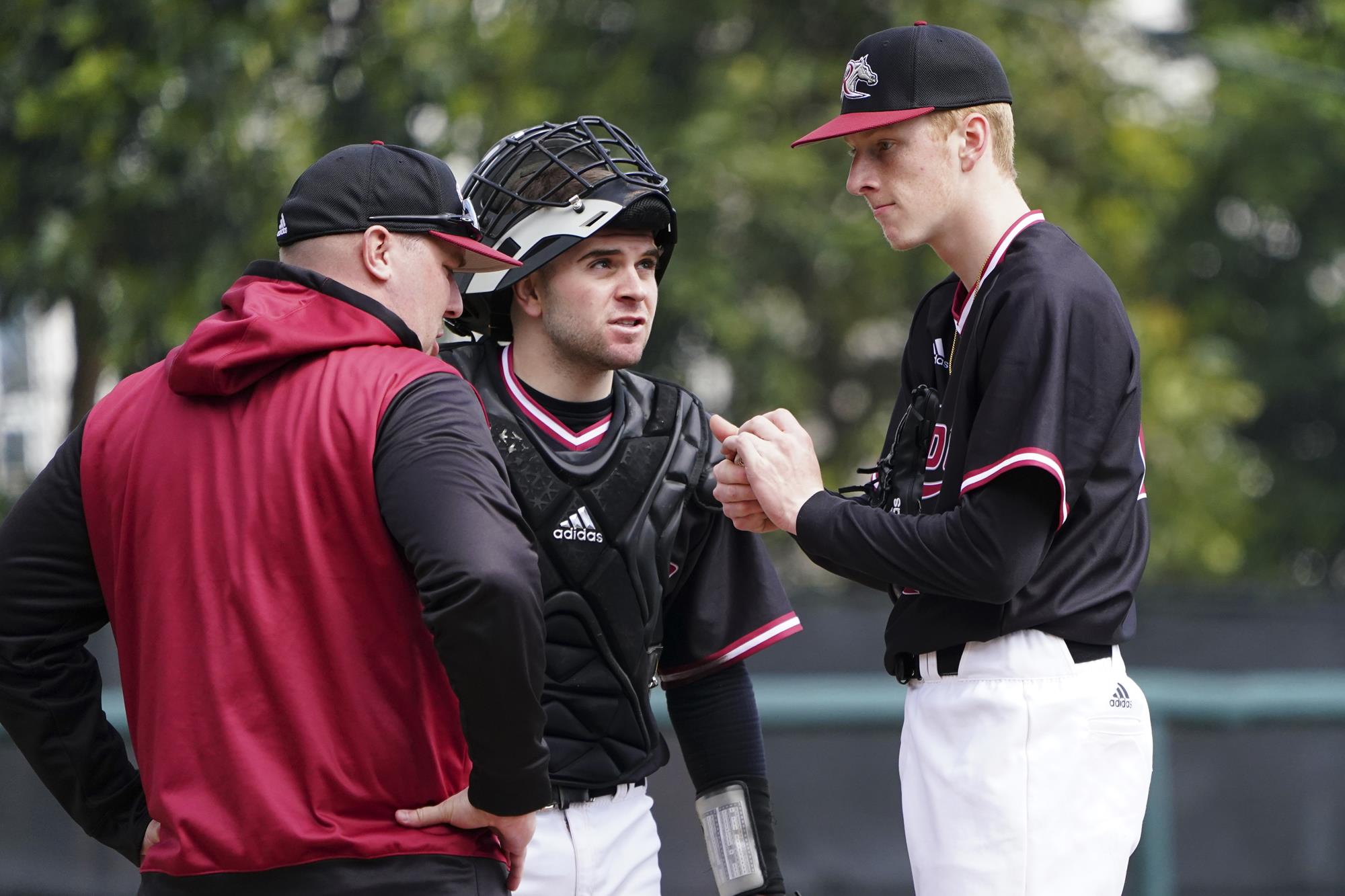 Danny Kirwin - Baseball - Rider University Athletics