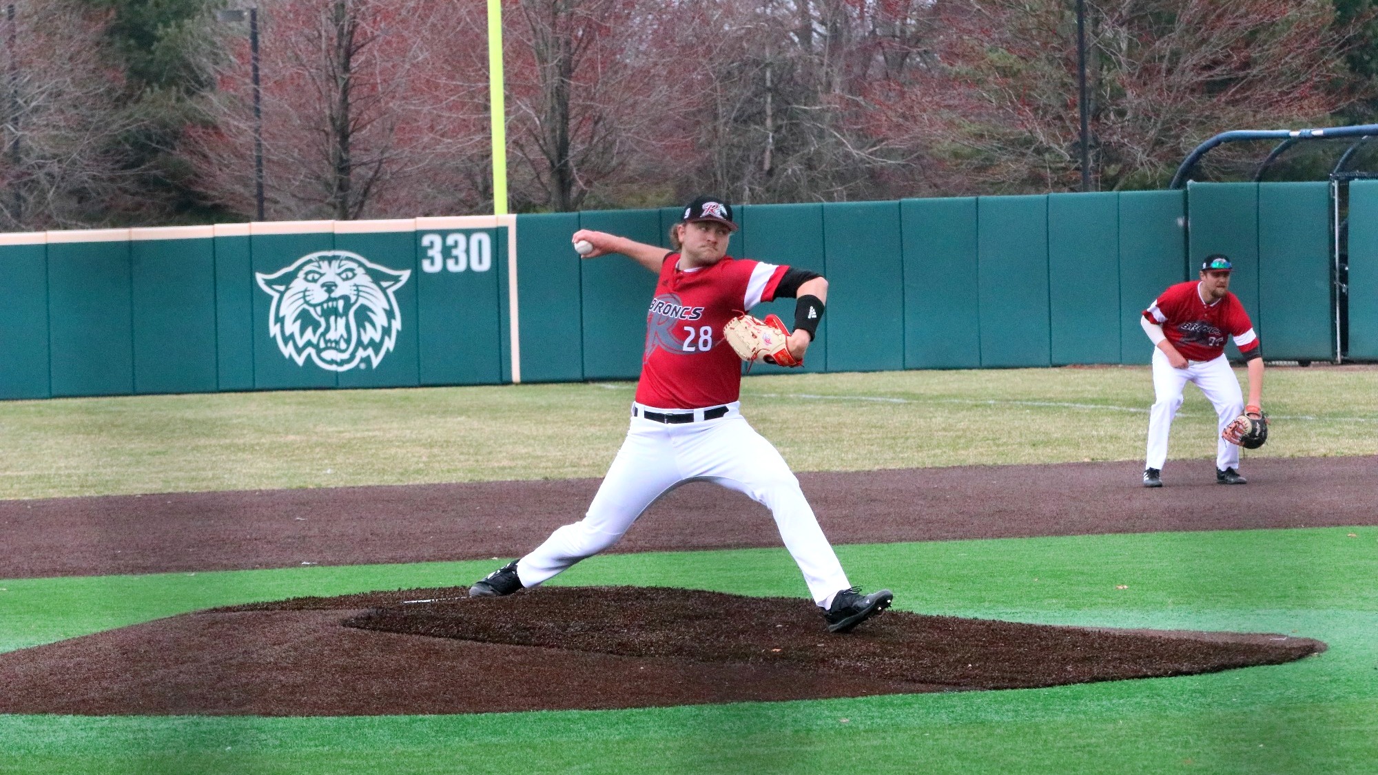 Dylan Heine - Baseball - Rider University Athletics