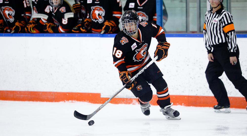 Reagan Rust - 2016-17 - Women's Hockey - Rochester Institute of ...
