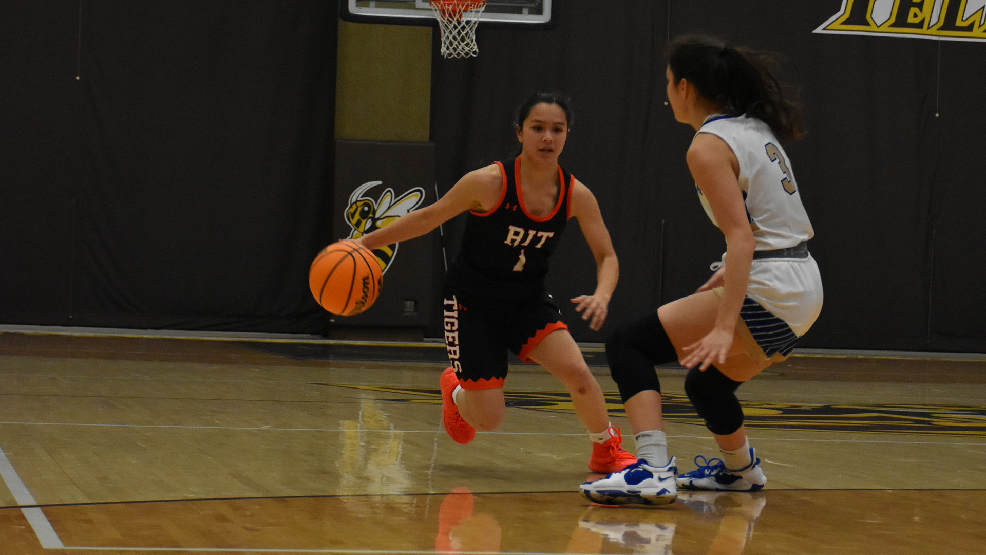 Emma Waite - 2023-24 - Women's Basketball - Rochester Institute of ...